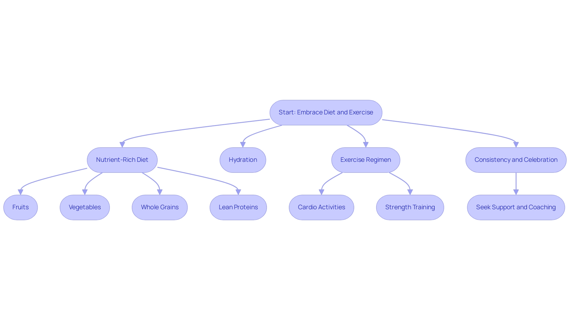 Each box represents a step in the strategy, with arrows indicating the flow from diet to exercise and support.