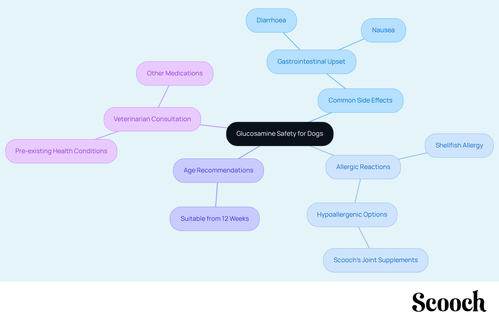 The central node represents the overall topic of glucosamine safety, with branches that outline various important considerations. Each branch leads to detailed points that help guide dog owners in making informed decisions.