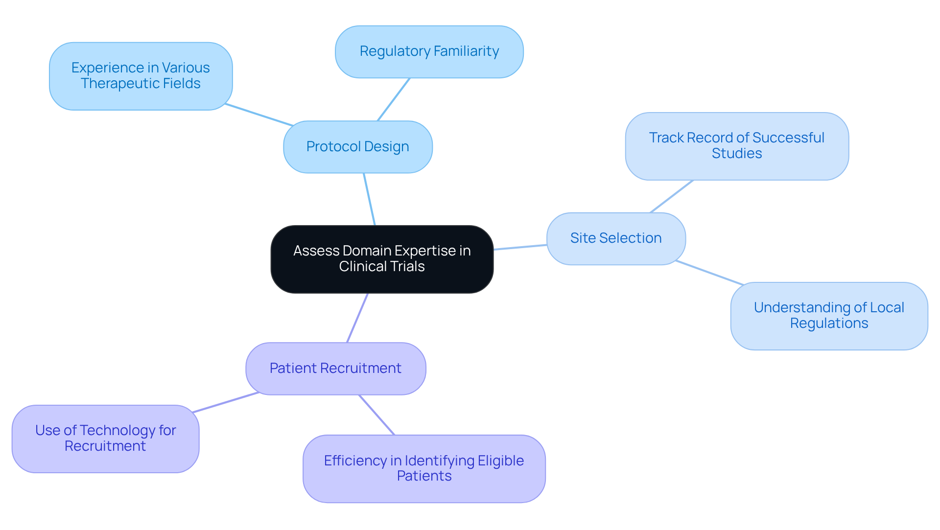 Start at the center with the main focus on assessing expertise, then follow the branches to see specific criteria and considerations for evaluating AI providers in healthcare. Start at the center with the main focus on assessing expertise, then follow the branches to see specific criteria and considerations for evaluating AI providers in healthcare.