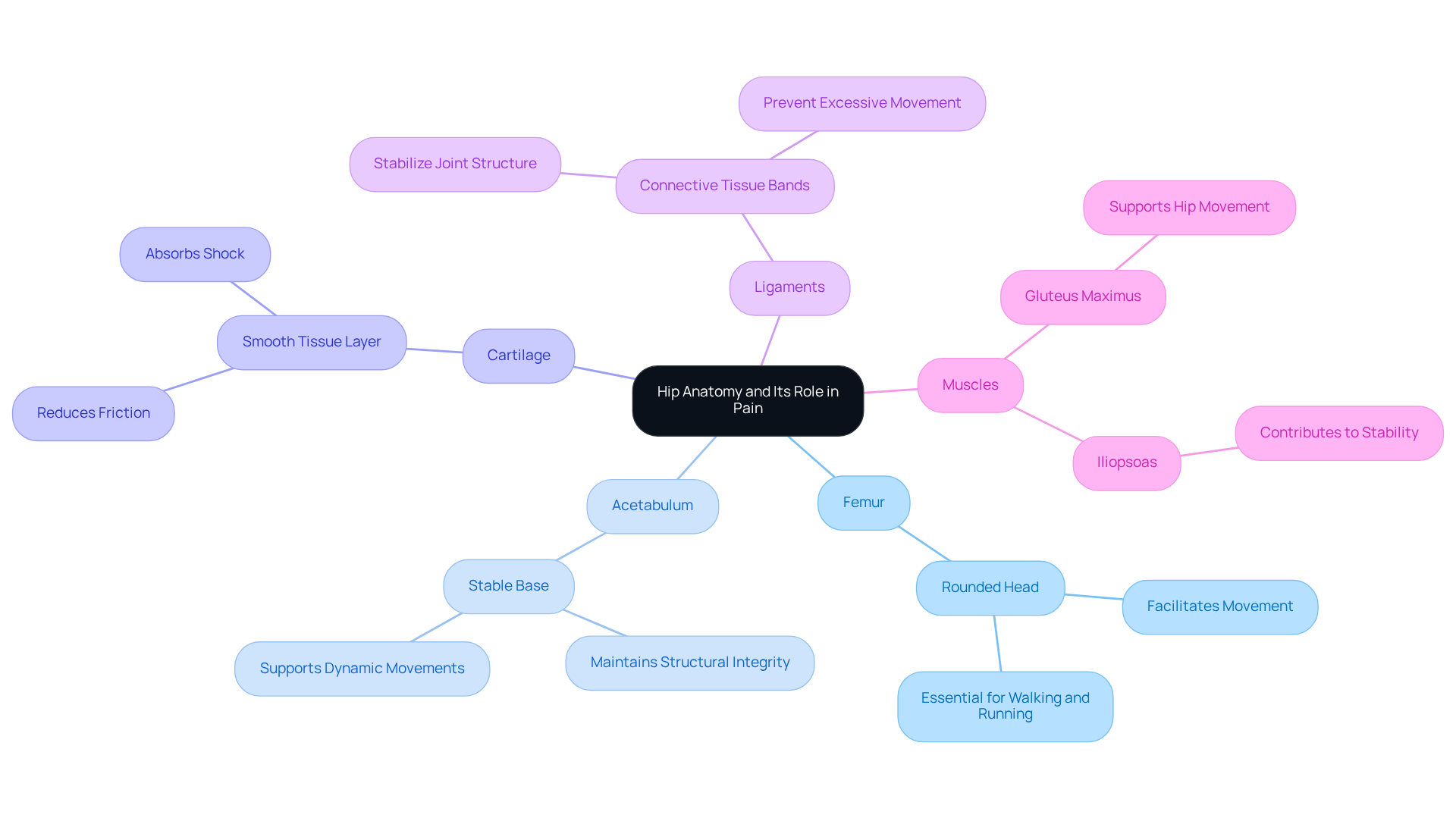 This mindmap starts with the hip anatomy at the center. Each branch represents a key component of the hip joint, showing how they contribute to movement and stability. The sub-branches explain their specific roles, helping you see how everything connects and why understanding this anatomy is crucial for addressing hip pain. This mindmap starts with the hip anatomy at the center. Each branch represents a key component of the hip joint, showing how they contribute to movement and stability. The sub-branches explain their specific roles, helping you see how everything connects and why understanding this anatomy is crucial for addressing hip pain.