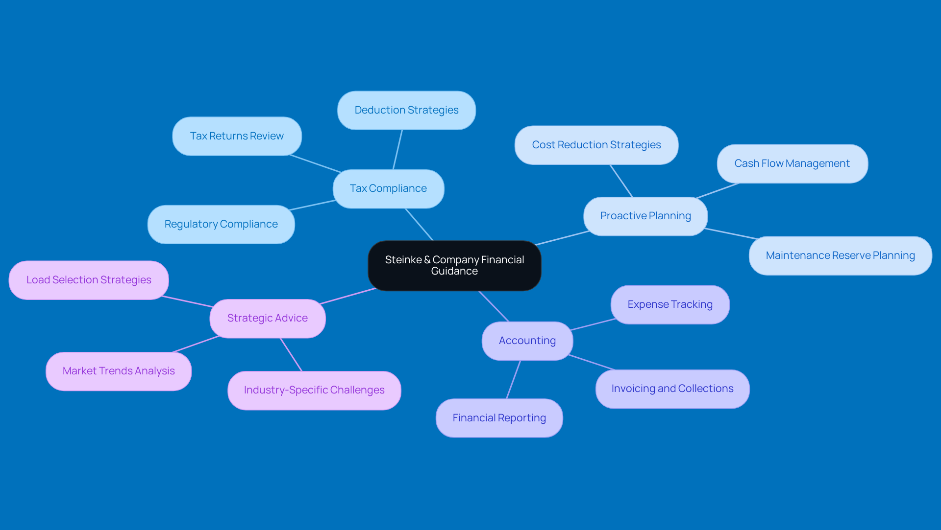 The center represents Steinke & Company's overall financial guidance. Each branch shows a key service area, and the sub-branches highlight specific actions or benefits. This layout helps you see how all the services connect to support owner-operators in the transportation sector.