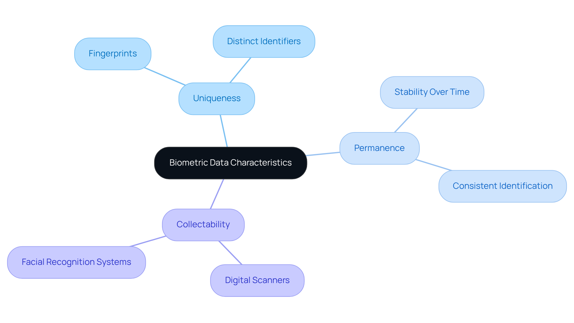 The center represents biometric data, and the branches show its key traits. Each trait has examples or implications that help explain why they are important in the immigration process.