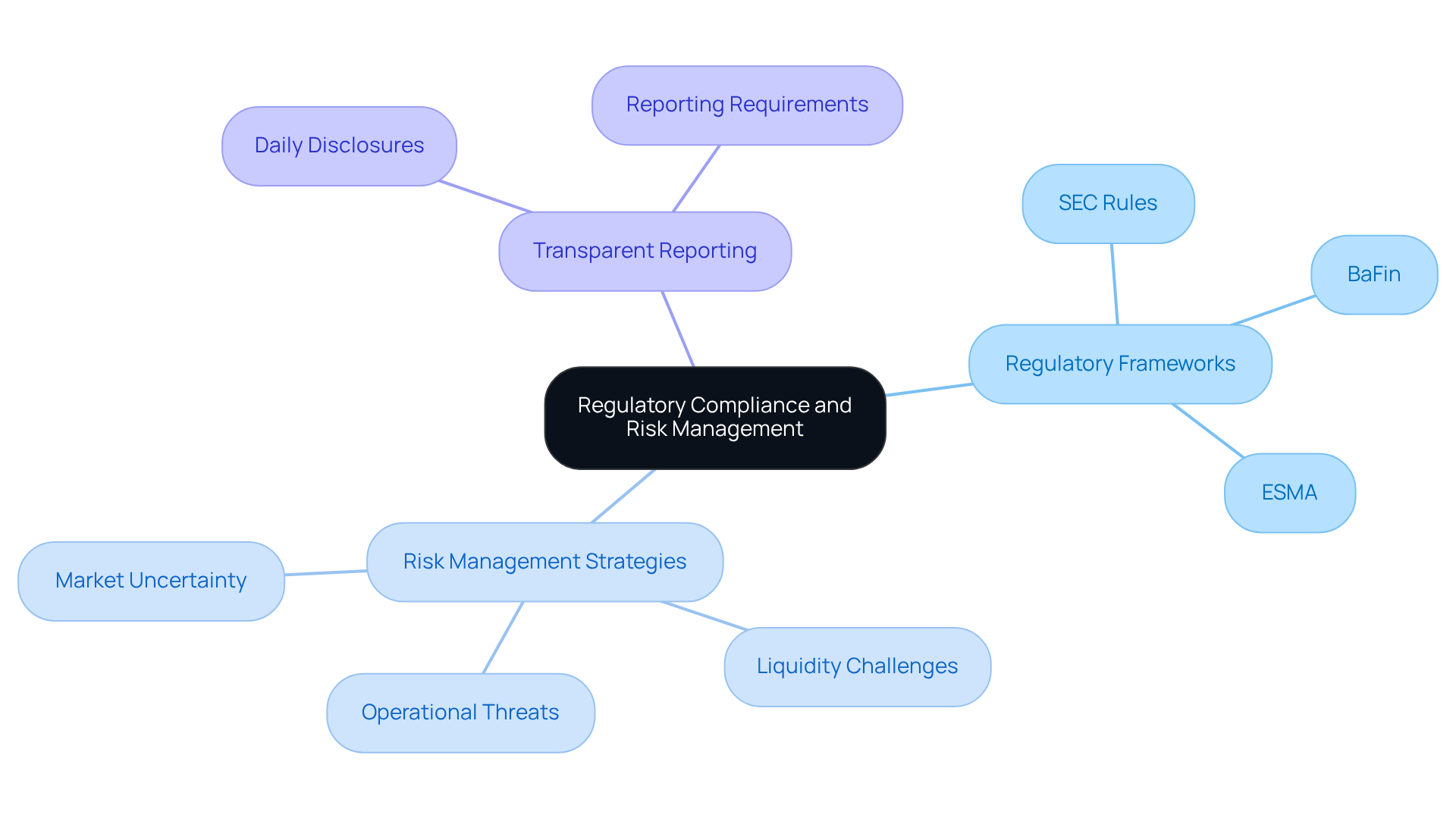 The central node represents the overall theme, while the branches show key areas of focus. Each sub-node provides specific details related to its main category, helping you understand how they connect and contribute to effective risk management and compliance. The central node represents the overall theme, while the branches show key areas of focus. Each sub-node provides specific details related to its main category, helping you understand how they connect and contribute to effective risk management and compliance.
