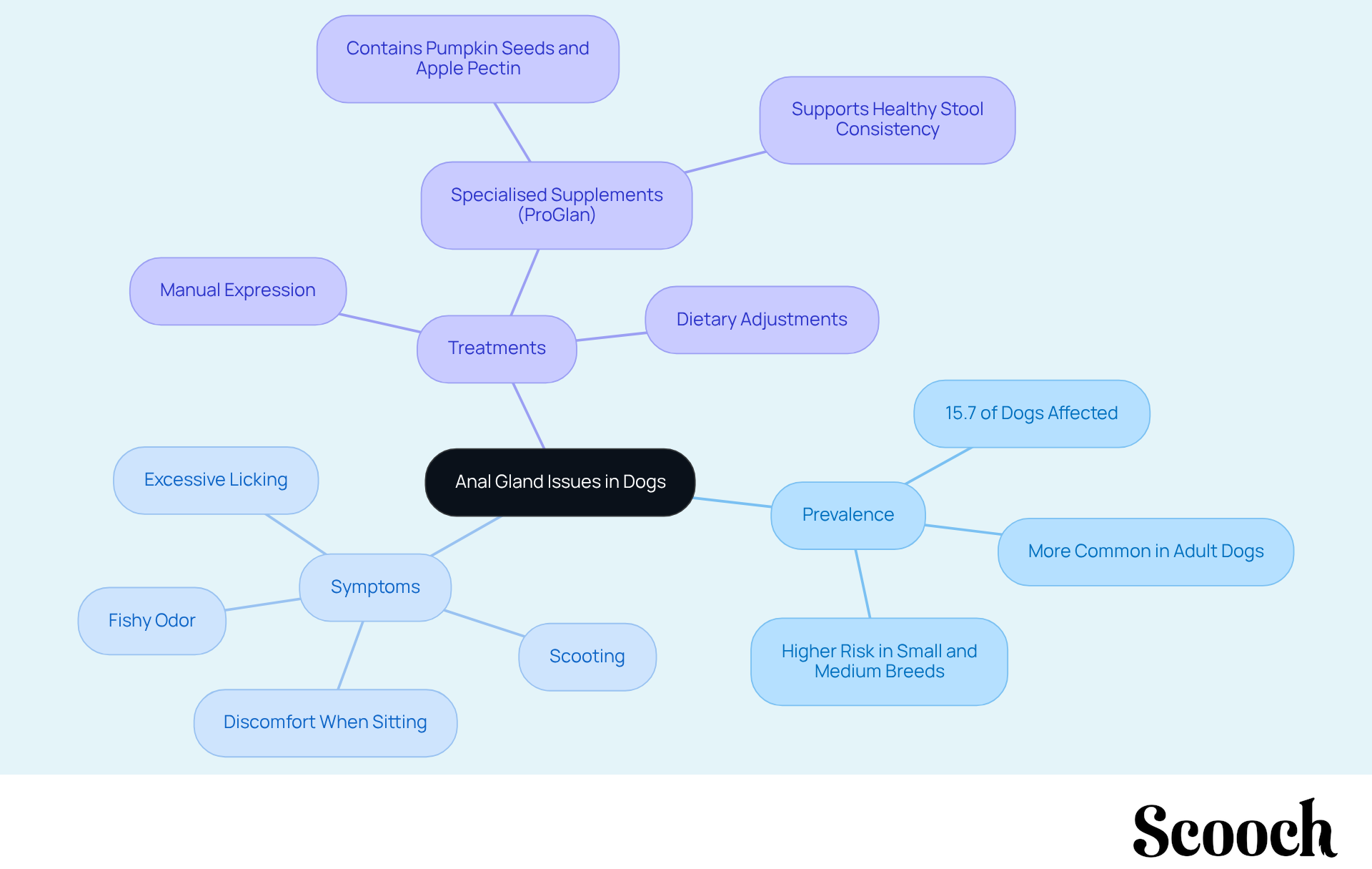 The center shows the main issue, and the branches illustrate how many dogs are affected, what symptoms to look for, and possible treatments. Each branch helps you see the connections and importance of addressing these health concerns.