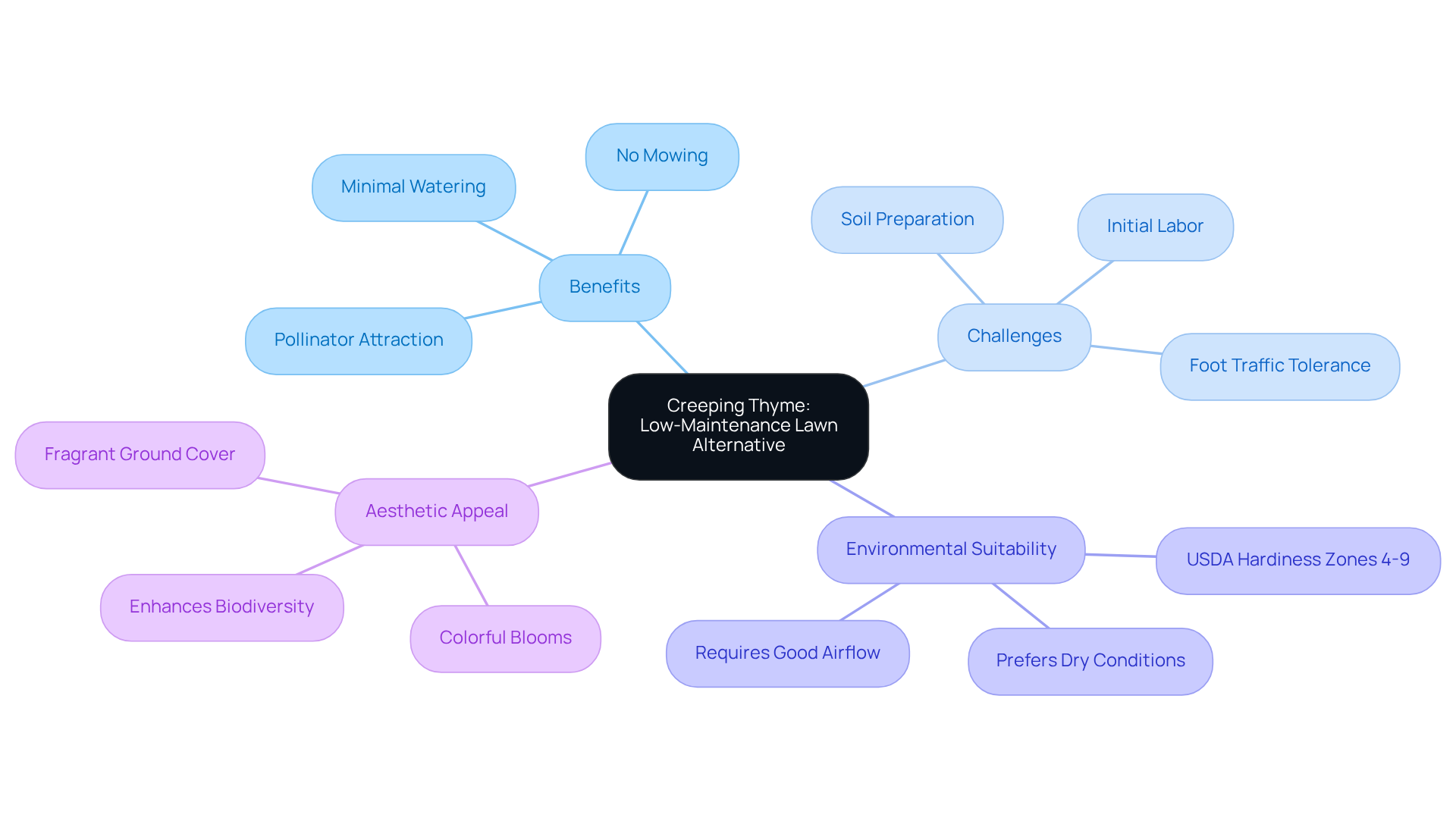 This mindmap starts with creeping thyme at the center, branching out to show its benefits like low maintenance and pollinator attraction, as well as challenges such as initial labor and foot traffic tolerance. Each branch helps you see how these aspects relate to the overall concept of using creeping thyme in your lawn.