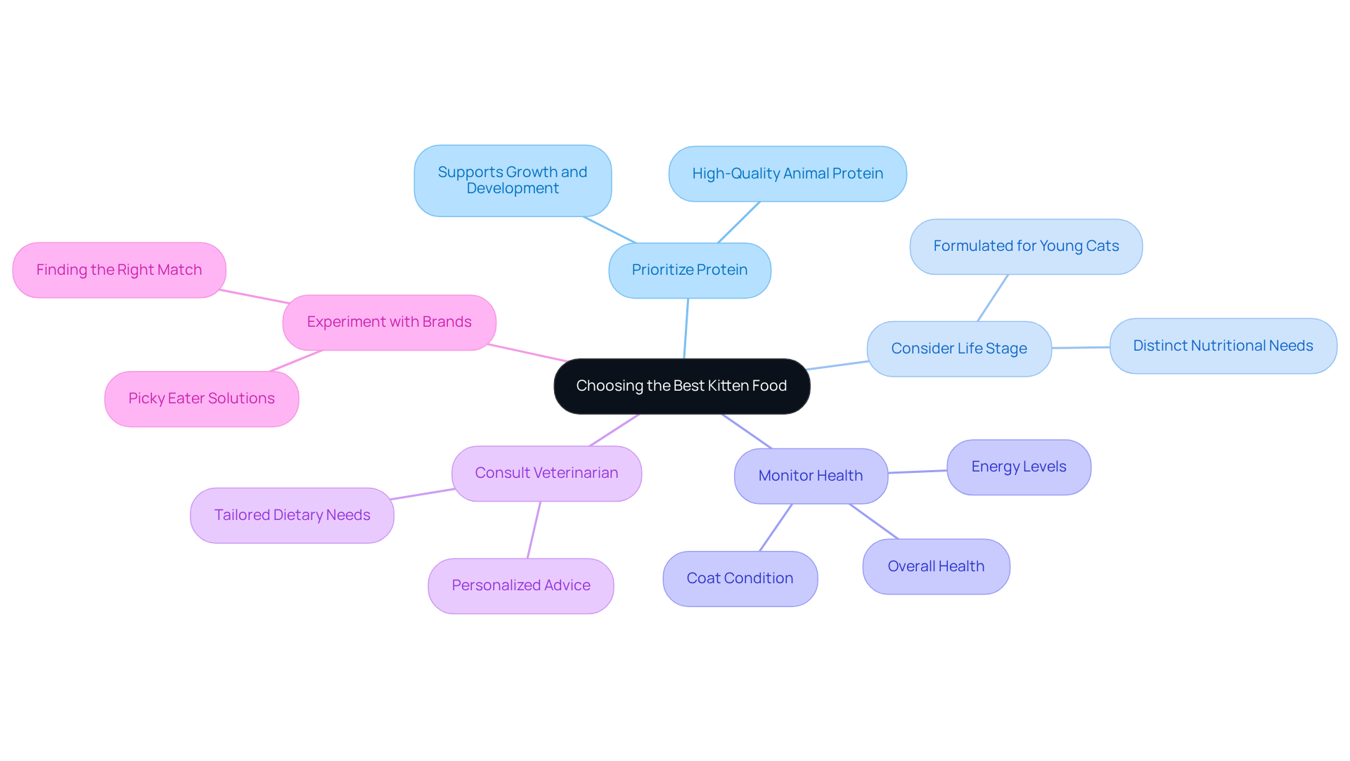 The center node represents the main topic of kitten nutrition, while each branch shows a specific recommendation. Follow the branches to understand the various aspects of selecting the right food for your kitten's needs. The center node represents the main topic of kitten nutrition, while each branch shows a specific recommendation. Follow the branches to understand the various aspects of selecting the right food for your kitten's needs.