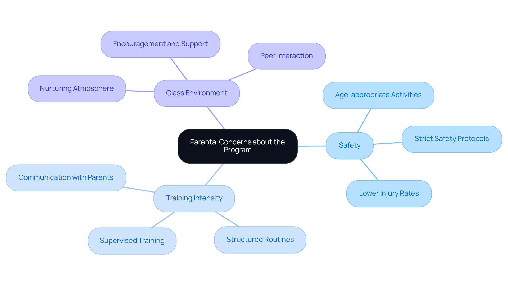 The center represents the main topic of parental concerns, with branches showing specific worries and how the program addresses them. Each color-coded branch helps you easily identify different areas of concern.