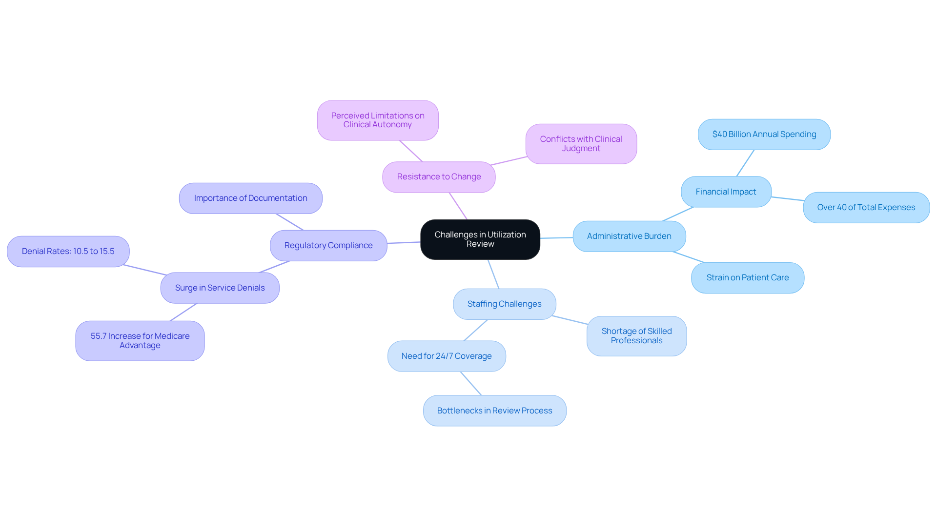 The central node represents the main topic, while the branches show different challenges. Each sub-branch provides more detail about specific issues related to that challenge.