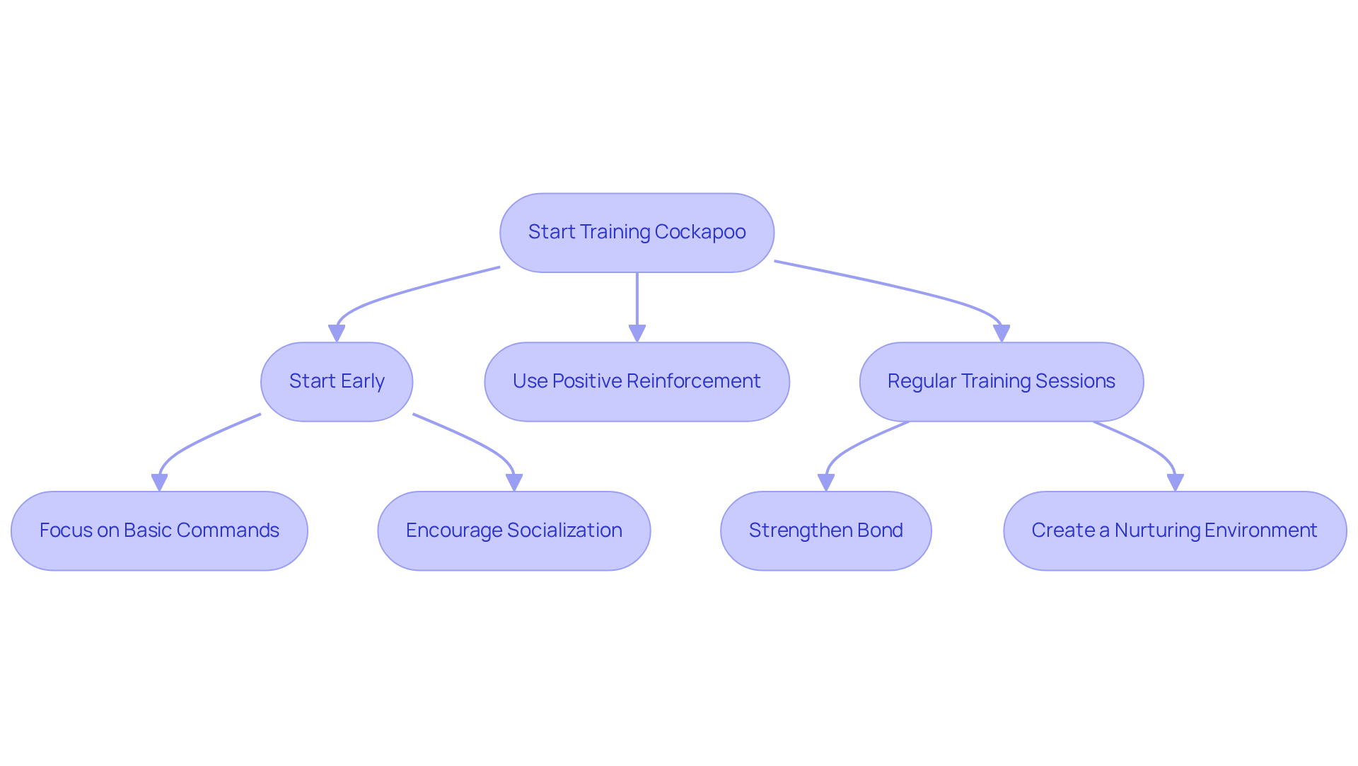 Follow the arrows to see how to train your Cockapoo effectively. Each step builds on the previous one, guiding you to create a loving and well-behaved companion.