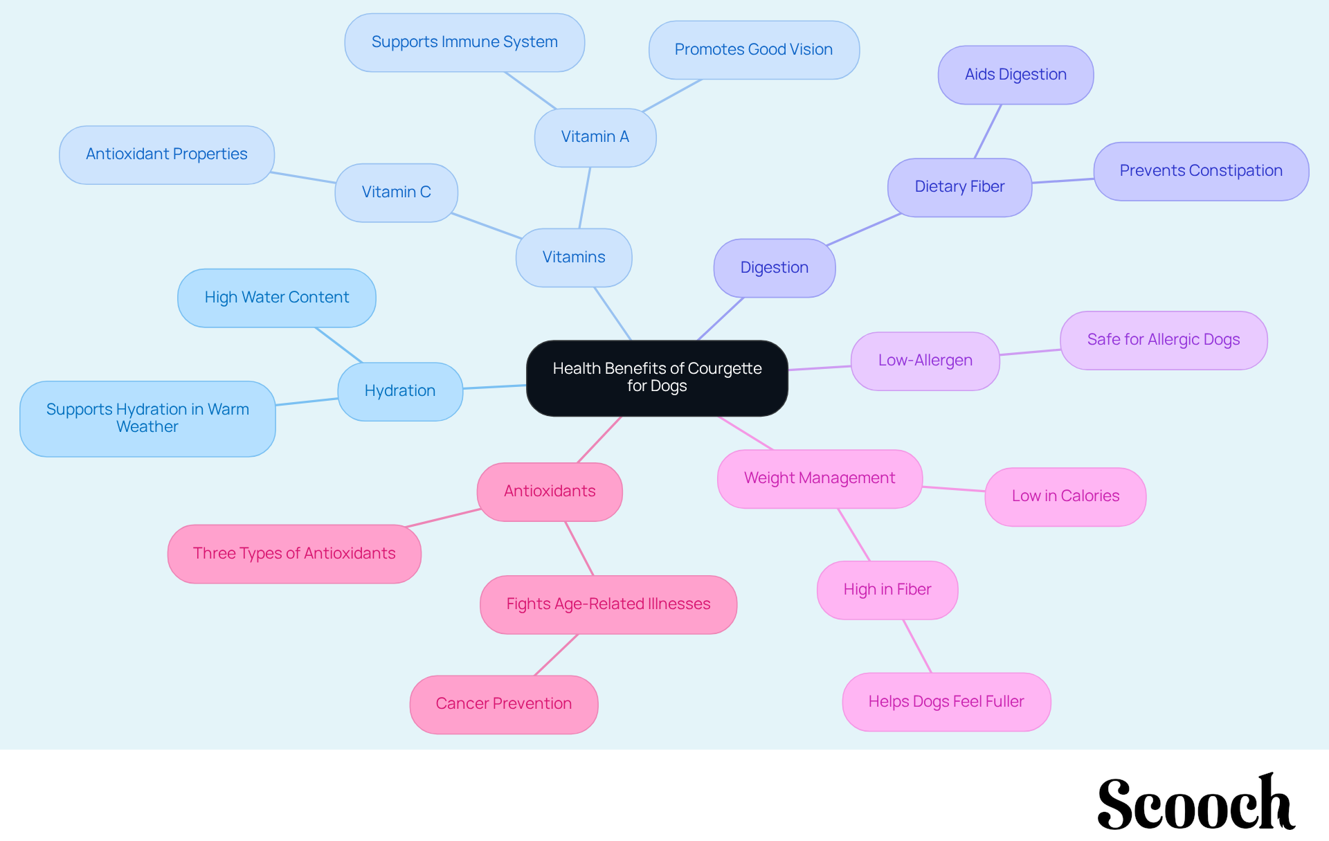 The central concept is courgette's benefits for dogs, with branches showing different areas of health improvement. Each color-coded branch helps you see how courgette contributes to your dog's well-being!