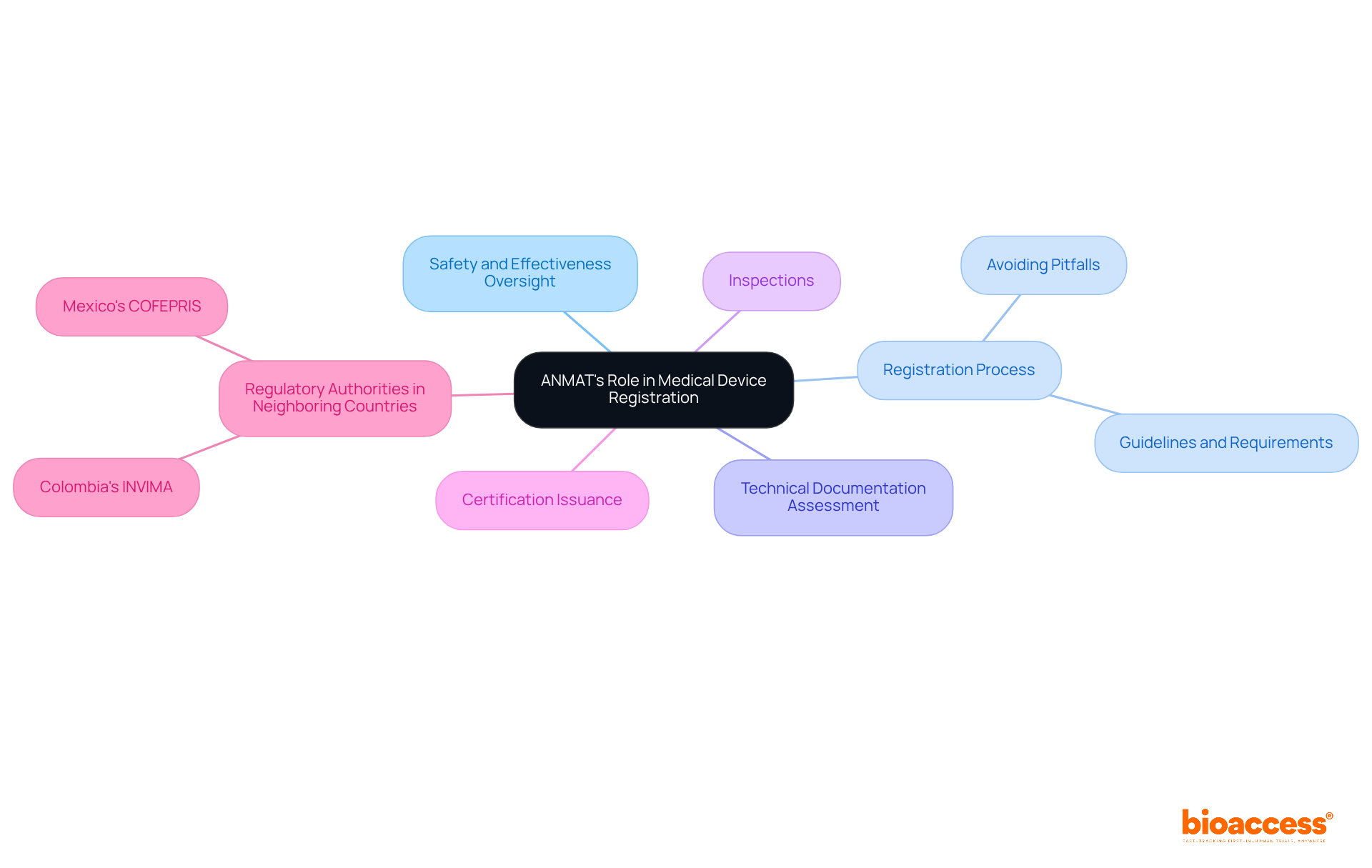 The central node represents ANMAT, while the branches show its various responsibilities and how it connects to other regulatory bodies. Each color-coded branch helps you see the different aspects of the registration process and the importance of understanding regional regulations.