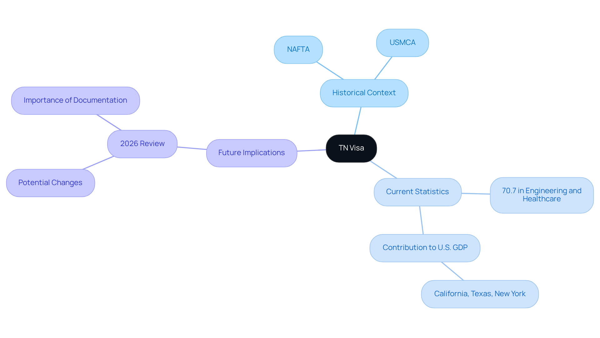 The center represents the TN Visa, with branches showing its history, current statistics, and future assessments. Each branch helps you understand different aspects of the visa and its significance.