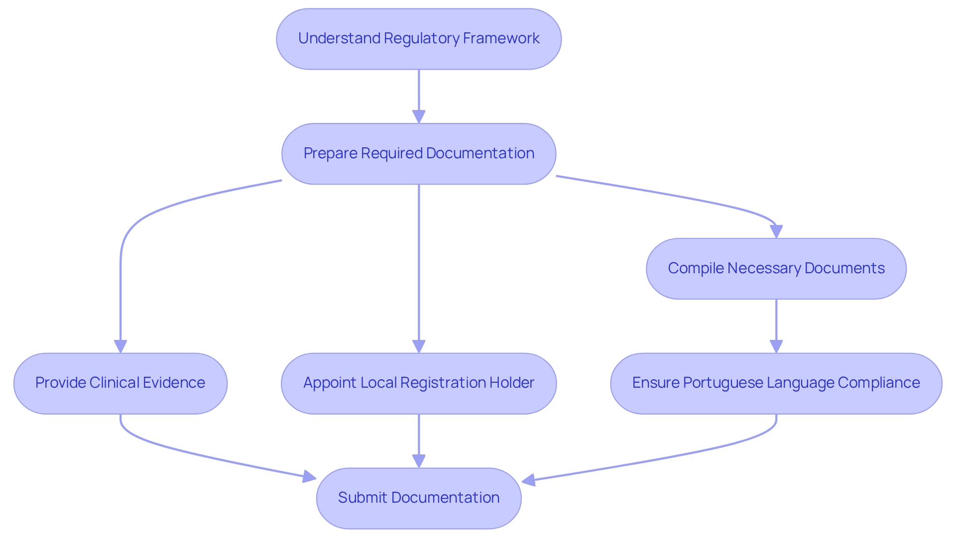 Follow the arrows to see each step in preparing your documents and ensuring compliance with Brazilian regulations. Each box represents an important action to take, making the process clear and structured.