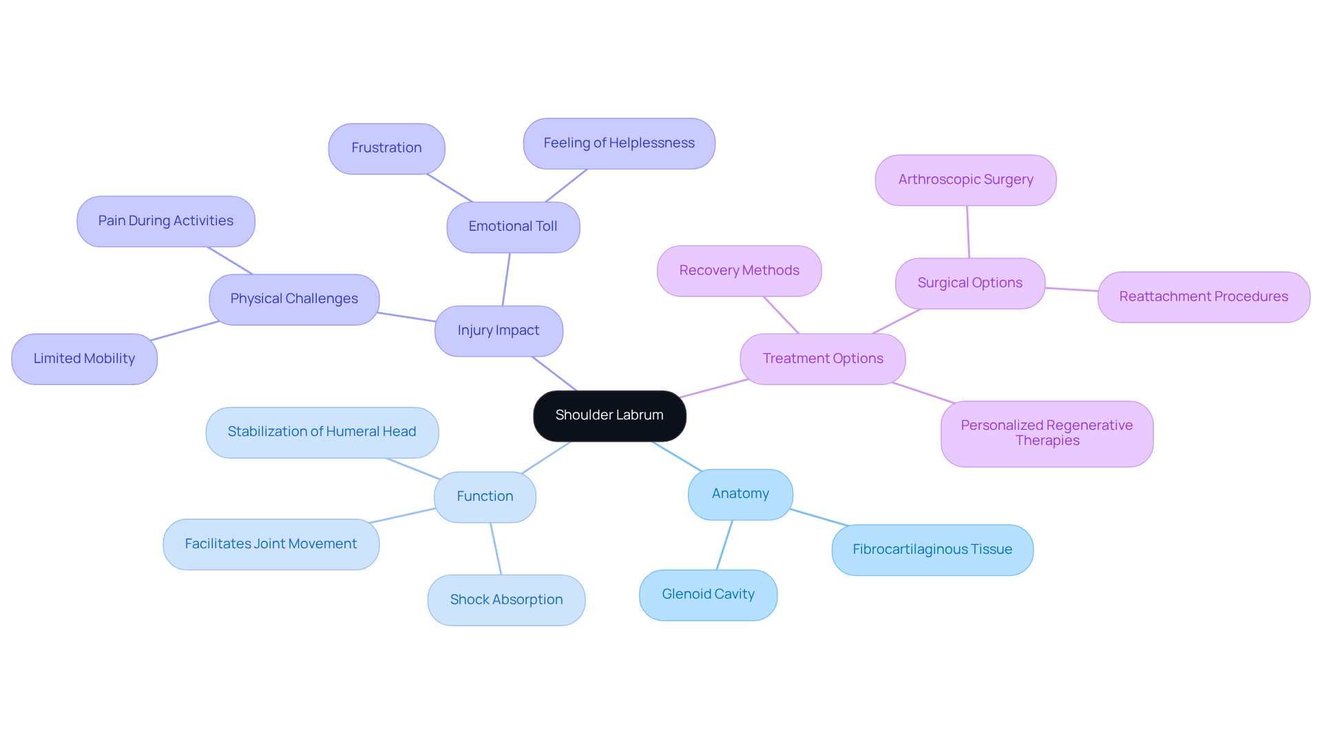 The central node represents the shoulder labrum, while the branches show its anatomy, functions, the impact of injuries, and available treatments. Follow the branches to explore each aspect in detail.