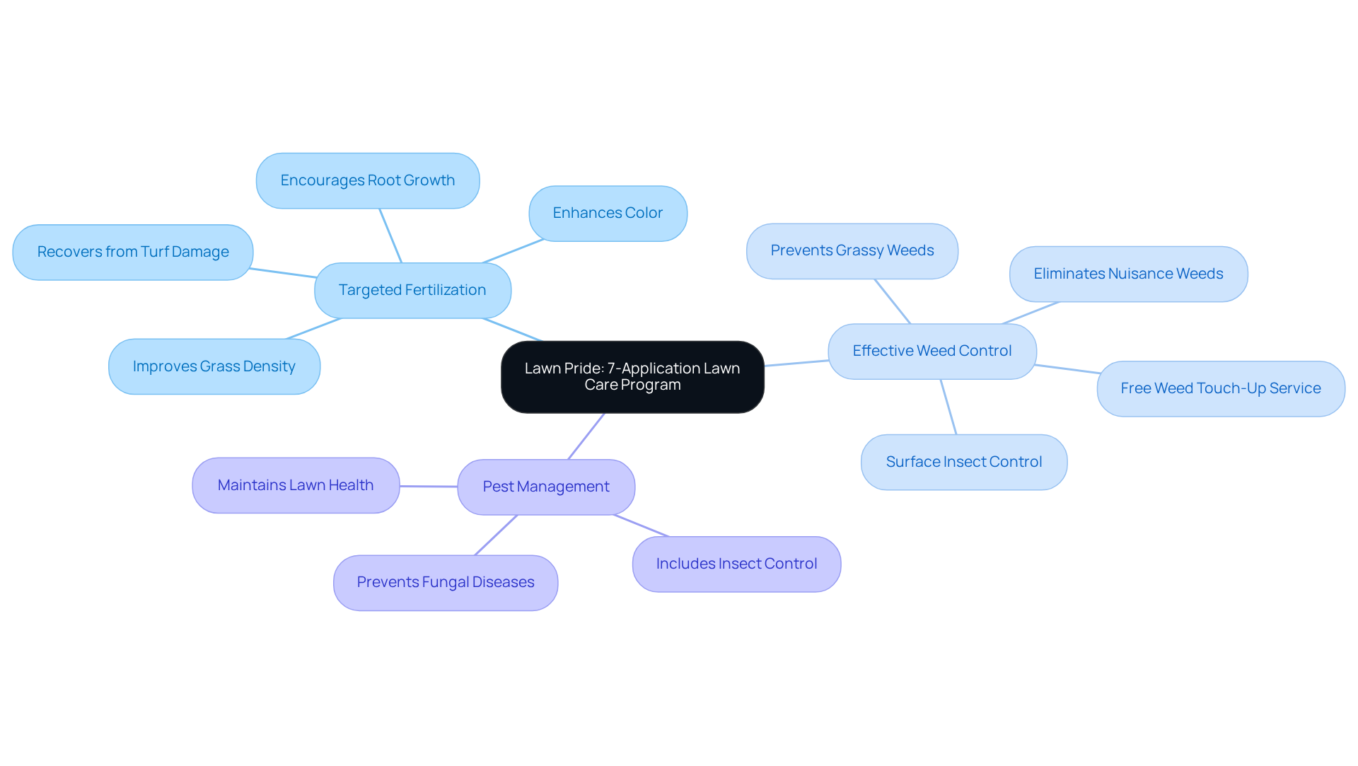 The center represents the overall lawn care program, while the branches show the key services offered. Each service contributes to a healthier, more beautiful yard, making it easier for homeowners to understand the value of the program.