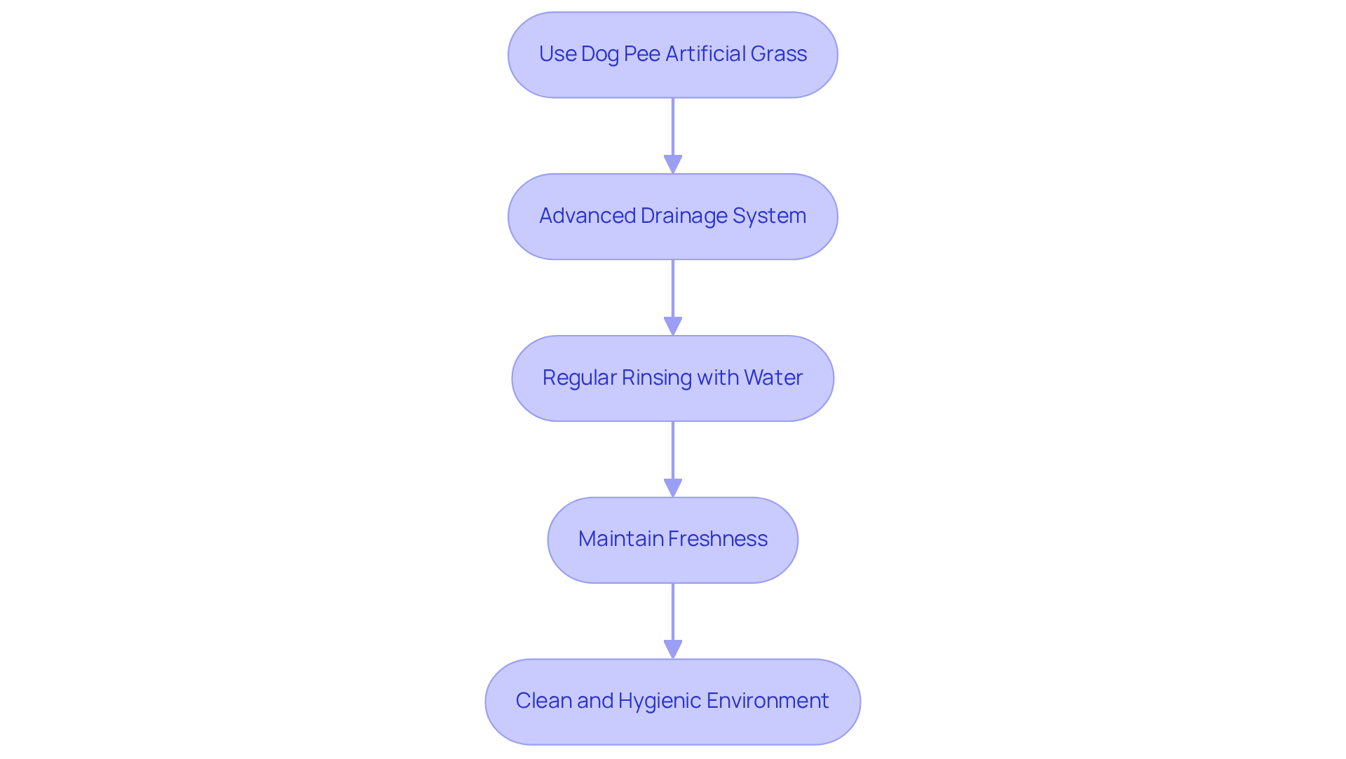 This flowchart shows the steps to keep your dog's artificial grass clean. Start by using the grass, then follow the arrows to see how the drainage system and regular rinsing help maintain a fresh space for your pets.