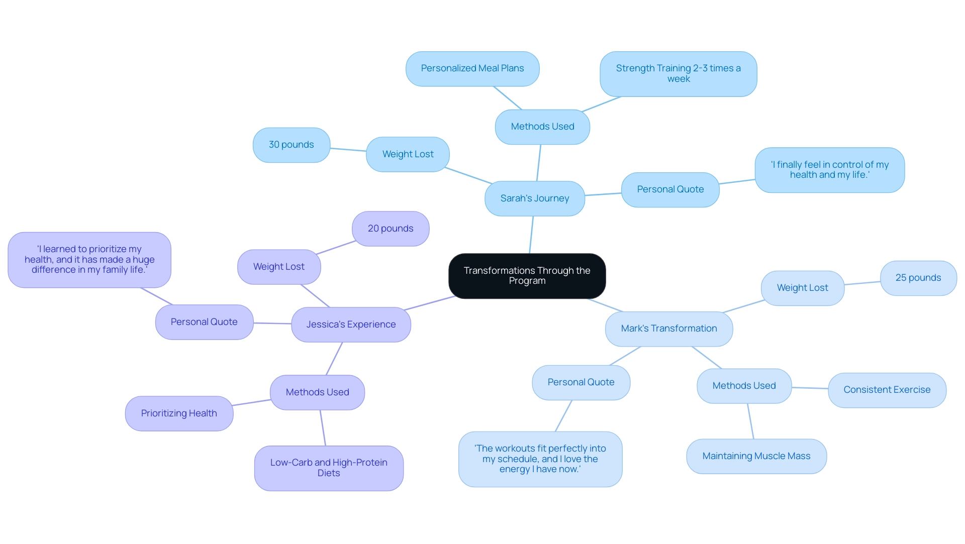 The central node represents the overall program, with branches showing individual success stories and their key components.