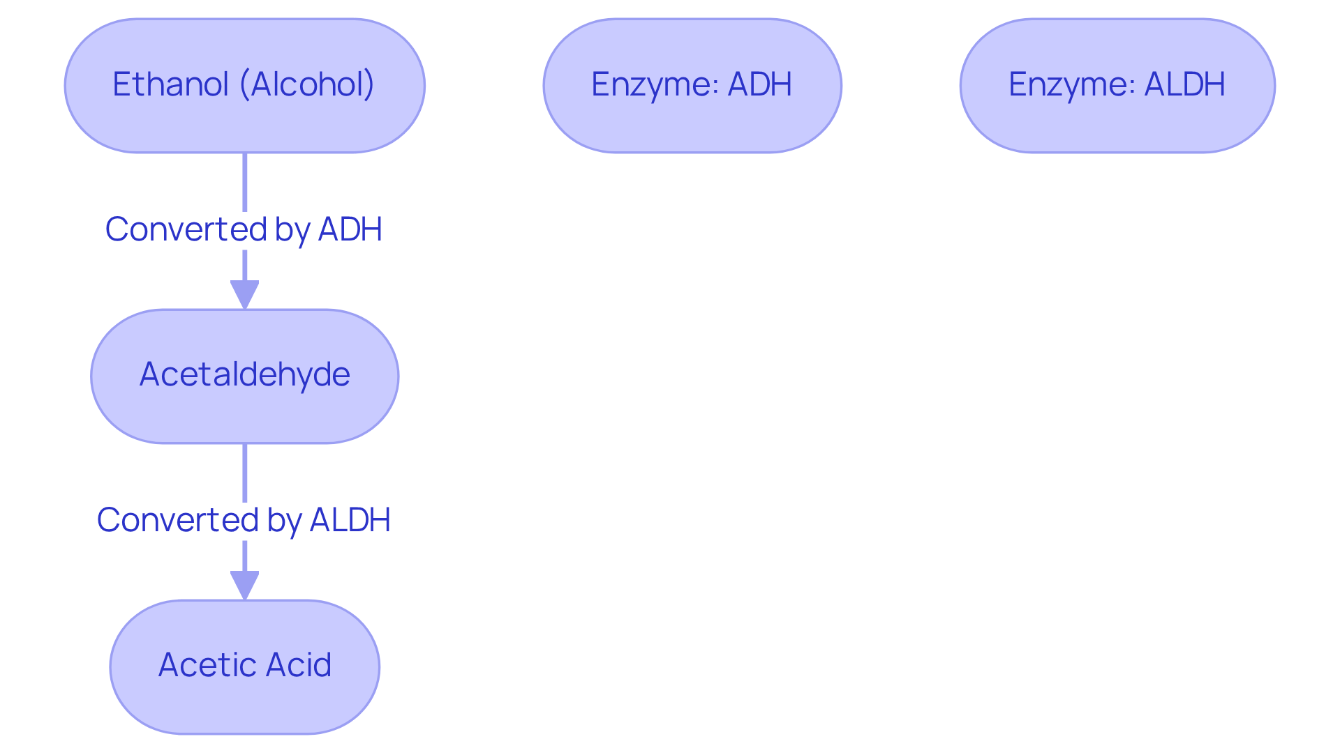 Manage Alcohol to Acetaldehyde Effects: A Step-by-Step Guide - SURVIVOR