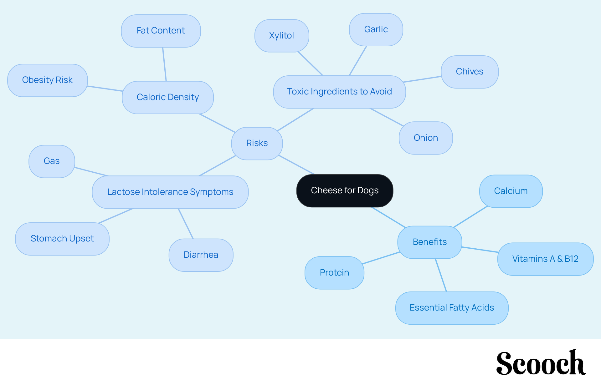 This mindmap shows the advantages and disadvantages of feeding cheese to dogs. The green branches highlight the benefits like protein and vitamins, while the red branches warn about risks like lactose intolerance and calorie concerns.