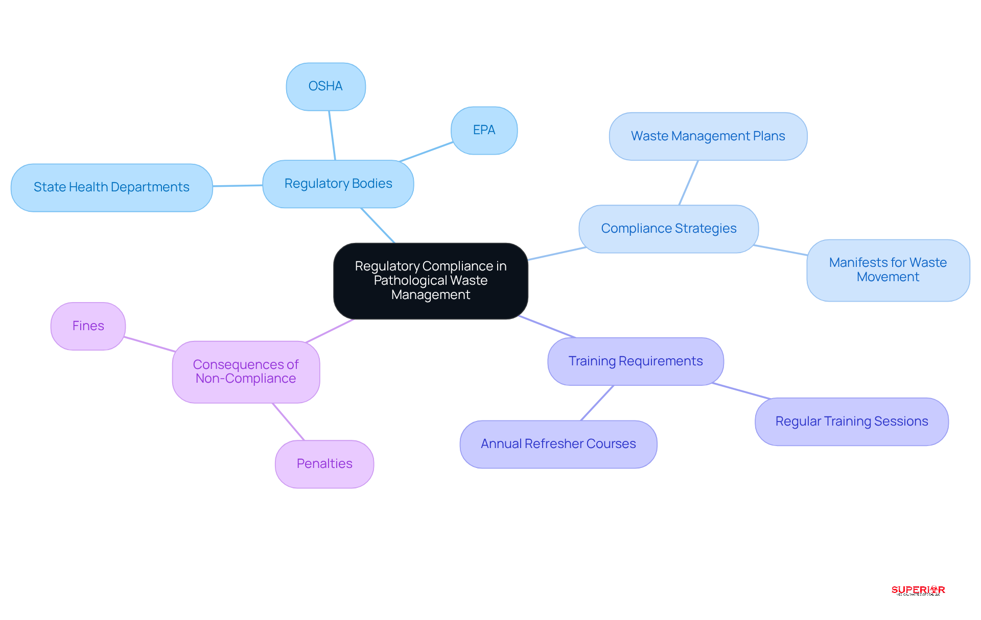 The central node represents the main topic of regulatory compliance, while the branches illustrate the various aspects that healthcare establishments need to consider, such as regulations, strategies for compliance, training needs, and potential penalties for non-compliance.