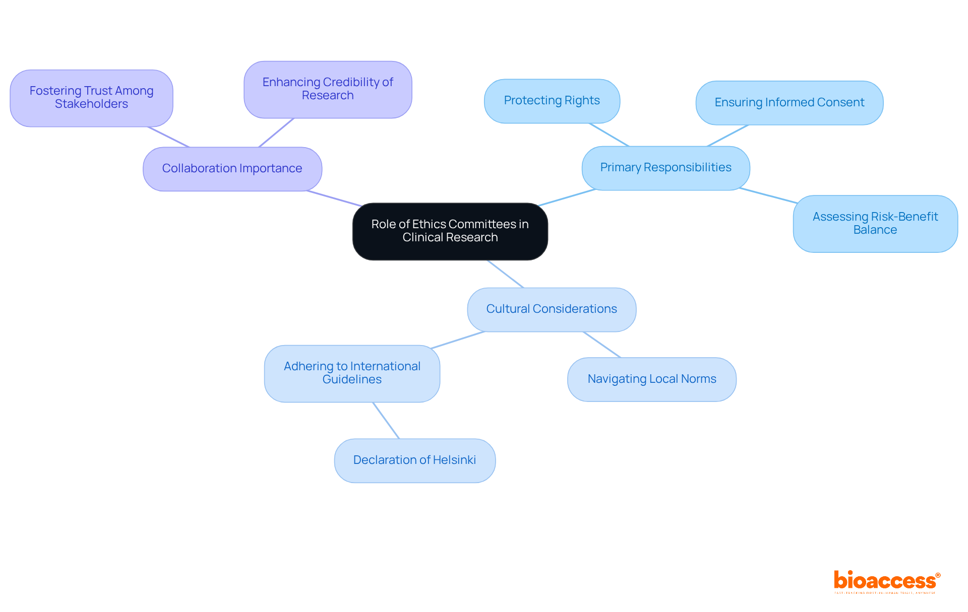 The central node represents the main topic, while branches show the key responsibilities and considerations of ethics committees. Each color-coded branch helps you easily identify different aspects of their role.