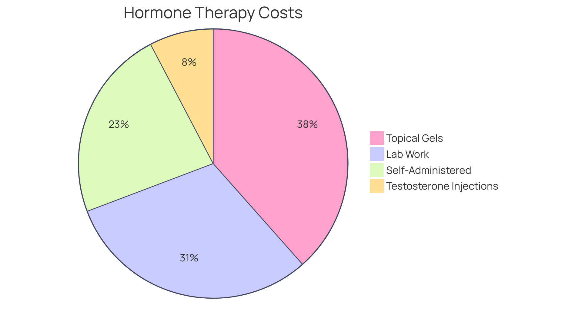 Each segment of the pie chart shows the average monthly cost for different hormone therapy options. The larger the segment, the more significant the proportion of that cost in the overall treatment landscape.