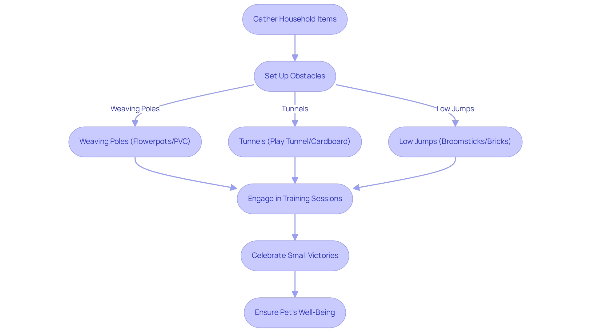Each box represents a step in the process of setting up and using the agility course. Follow the arrows to see how to move from one step to the next, ensuring a fun and safe experience for your pet.