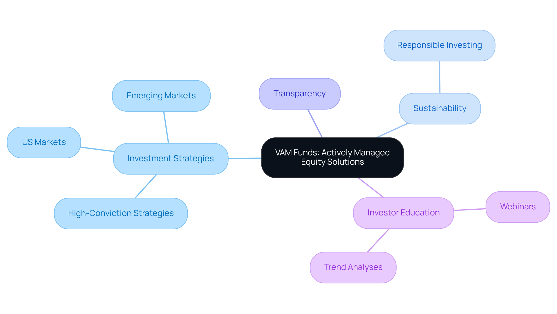 The center represents VAM Funds, and the branches show different aspects of their business. Each branch leads to more specific topics, helping you understand how they operate and what they focus on.