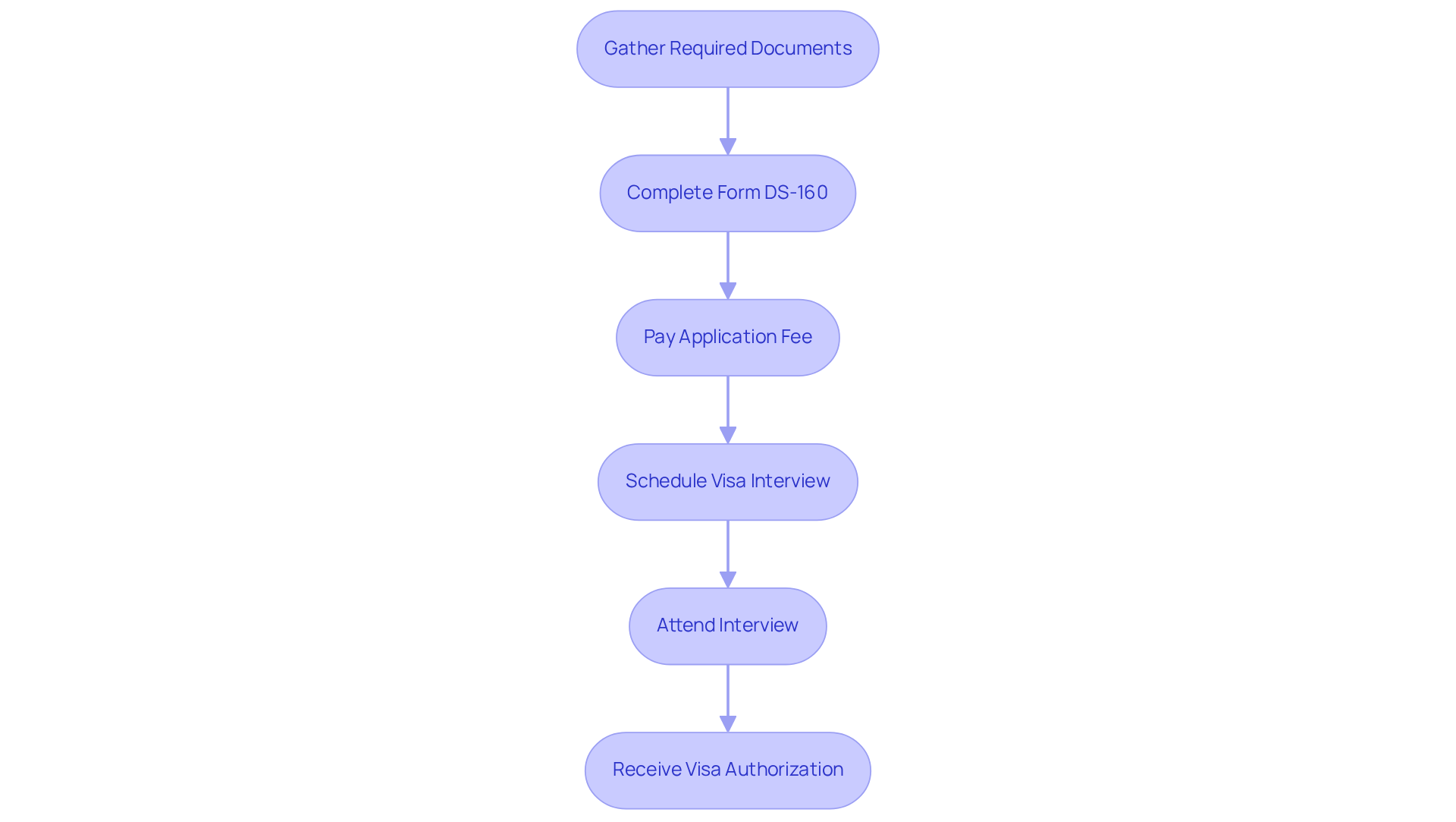 Each box shows a step in the application journey — follow the arrows to see how to successfully navigate from gathering documents all the way to receiving your visa.