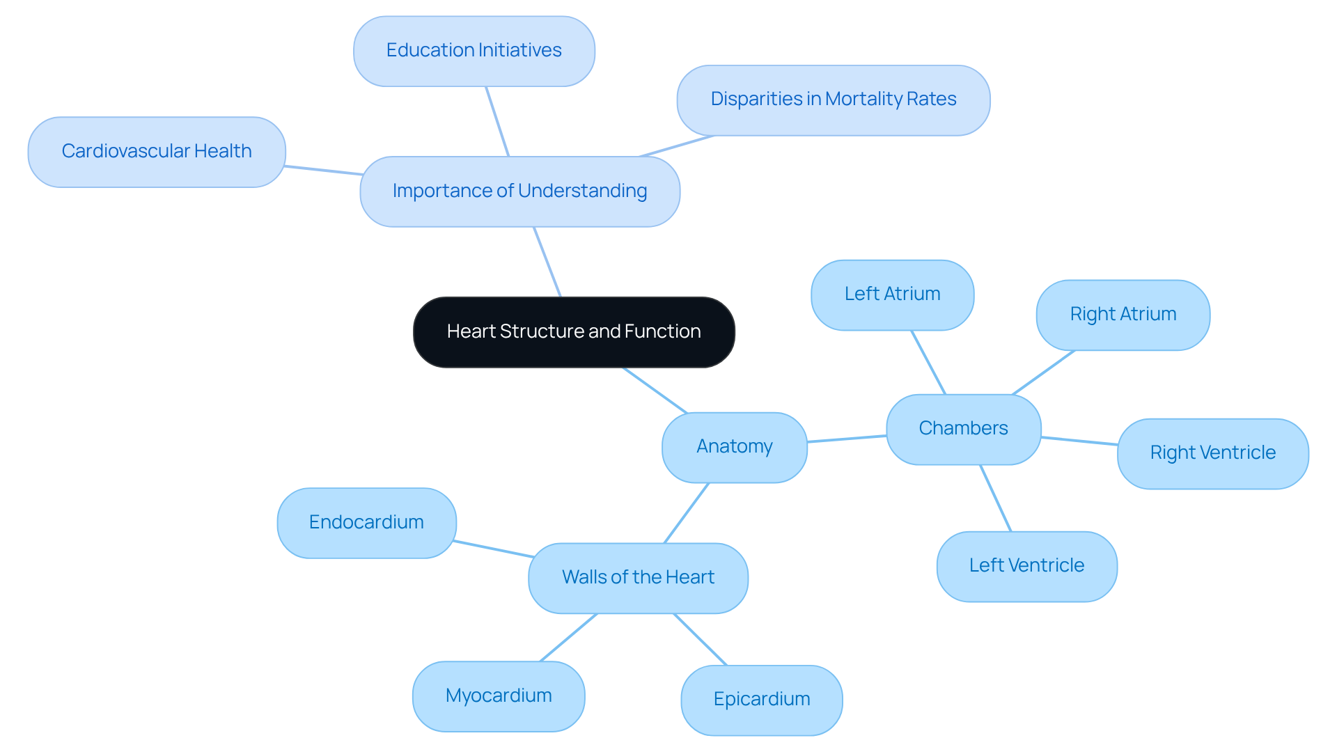 The central node represents the heart, with branches showing its anatomy and the importance of understanding it for health. Each color-coded branch helps you see how different aspects of the heart connect to overall cardiovascular wellness.