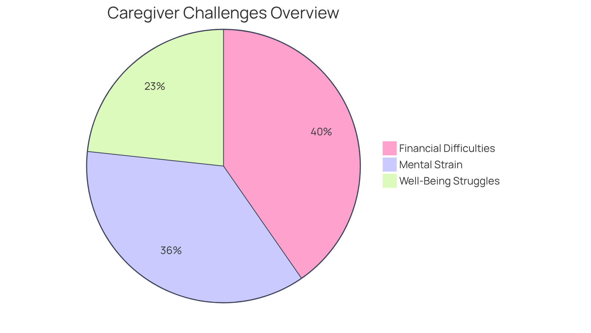 Each slice represents a challenge that caregivers face - the larger the slice, the more caregivers are affected by that issue.