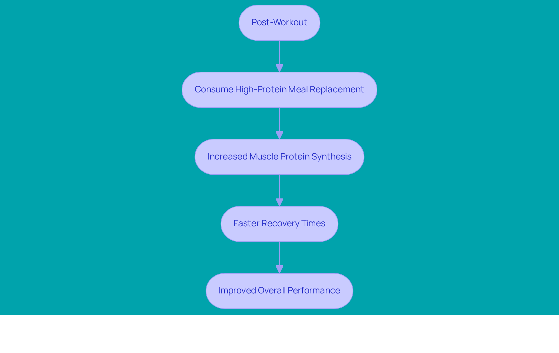 Follow the arrows to see how post-workout nutrition impacts muscle recovery. Each box represents a key step: starting with your workout, moving to nutrition choices, and finishing with the benefits you can expect.