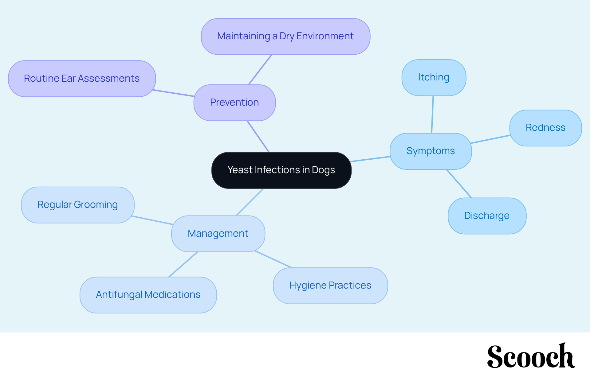 The central node represents the main issue of yeast infections, while the branches show symptoms, management strategies, and preventive measures. Follow the branches to see how each aspect contributes to understanding and addressing the problem.