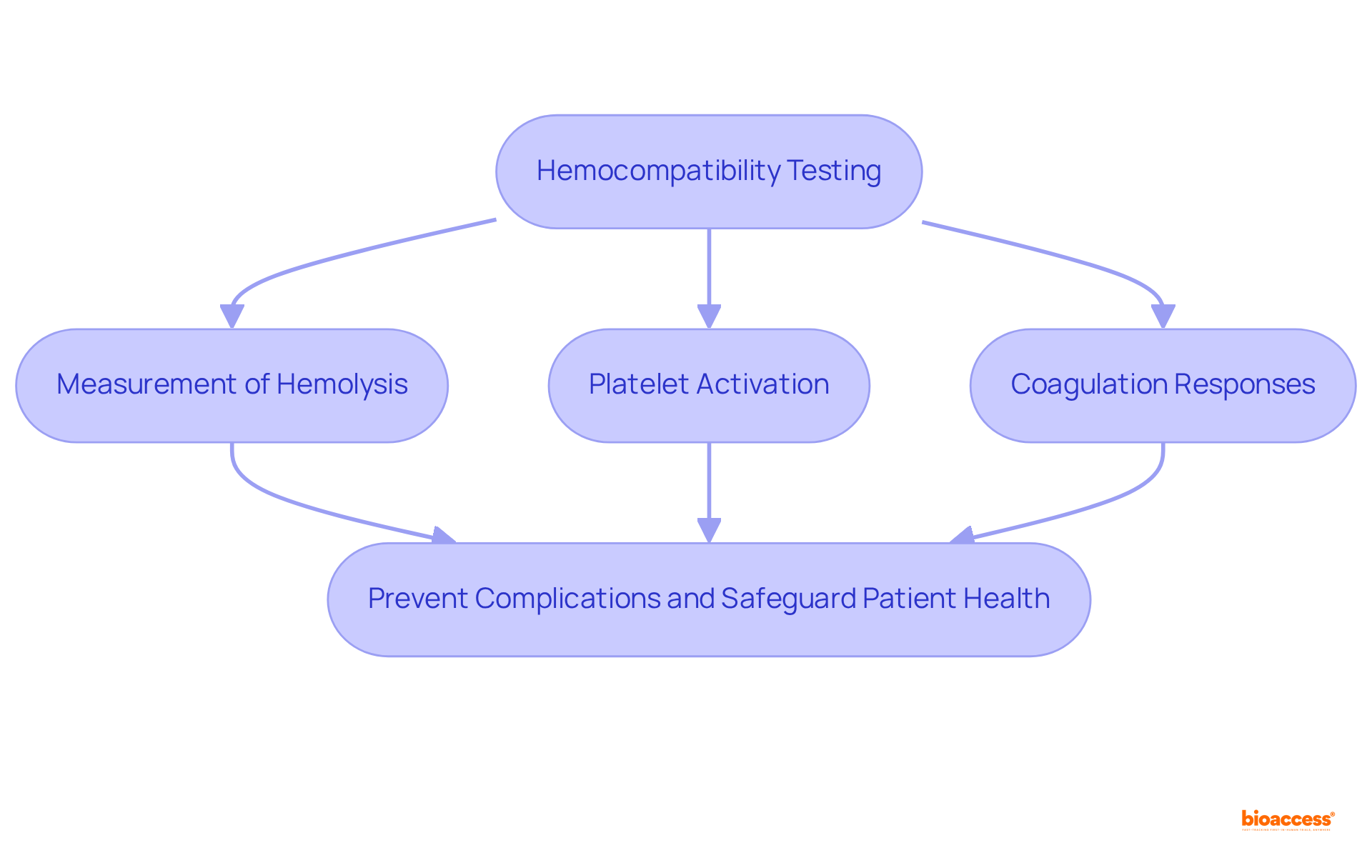Each box represents a step in the testing process. Follow the arrows to see how each assessment contributes to the overall goal of ensuring patient safety.