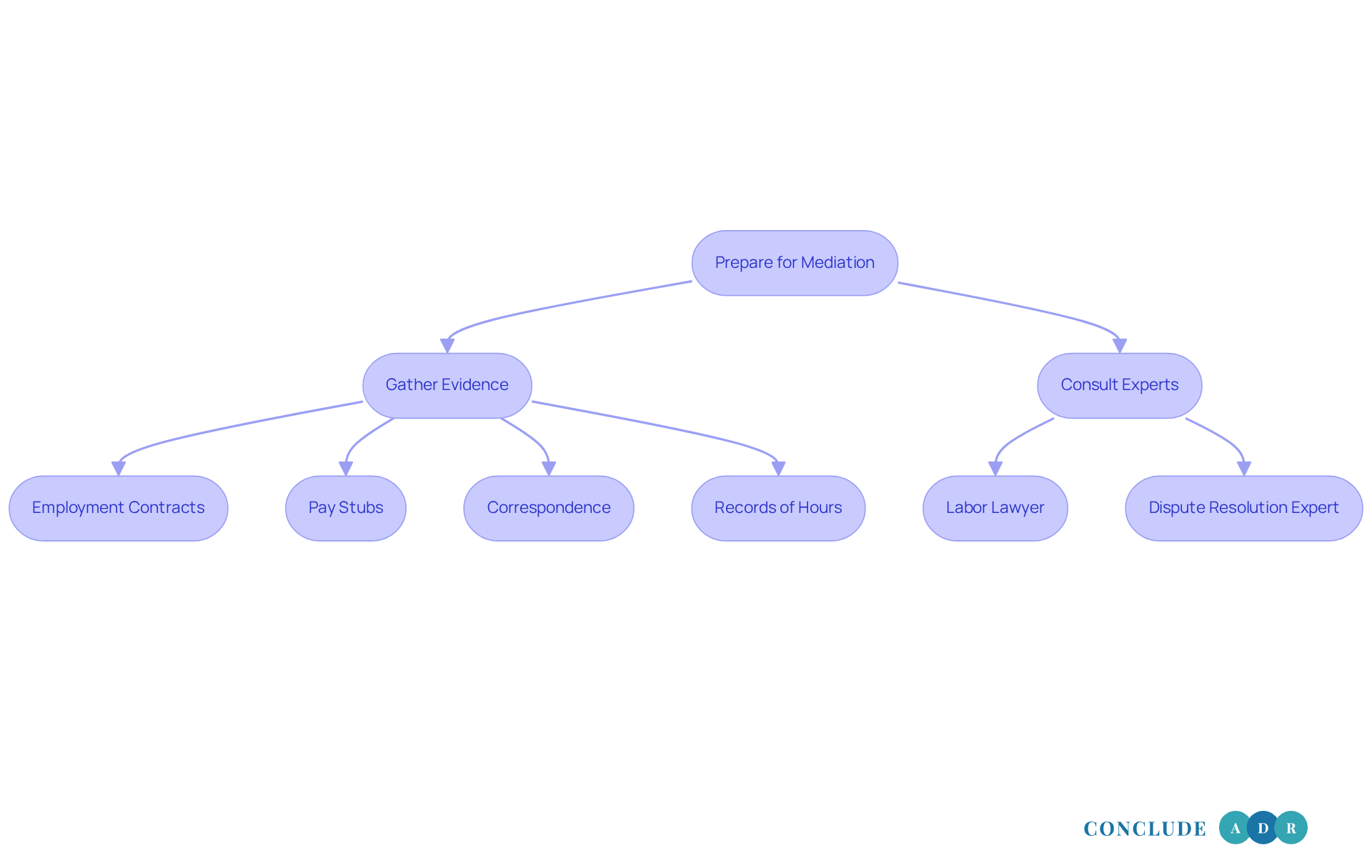 Follow the arrows to see the steps you need to take for mediation preparation. Each box represents an action, and the flow shows how to move from gathering evidence to consulting experts.