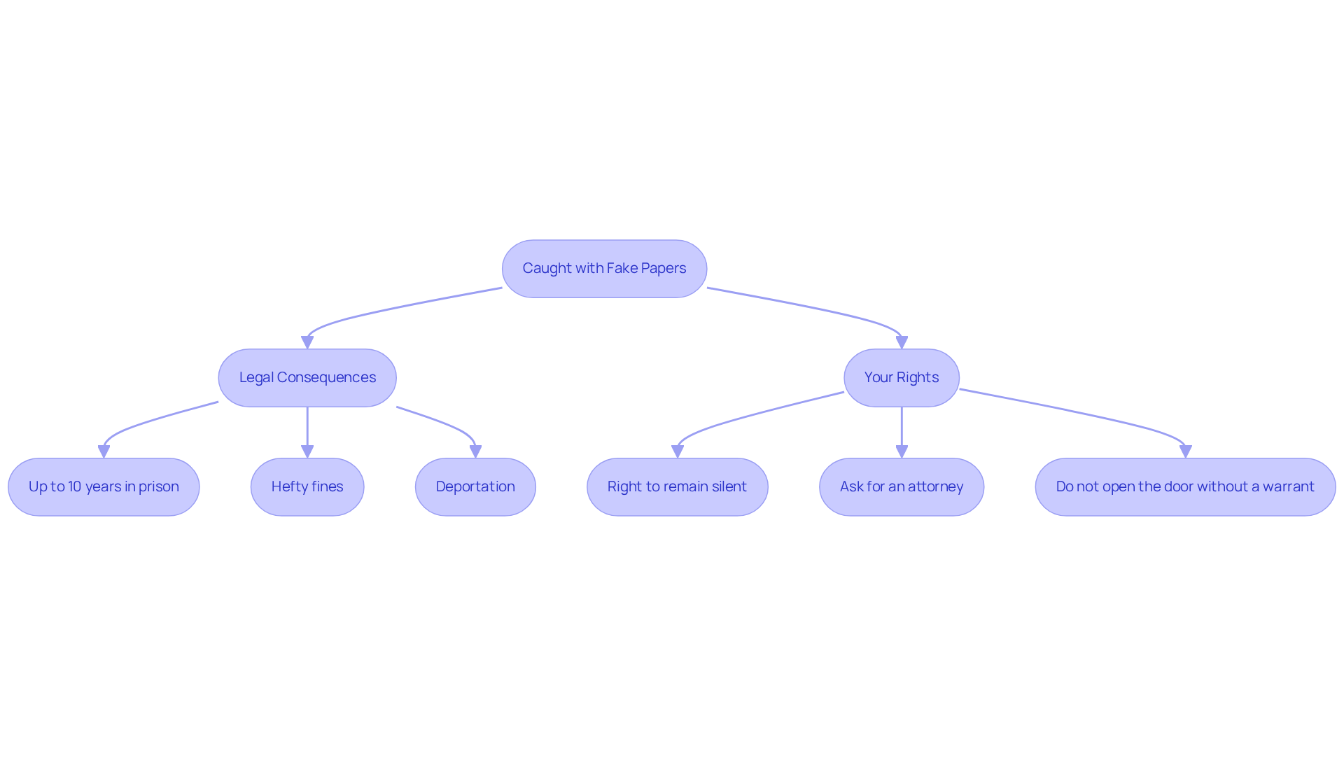 This flowchart shows what happens if you're caught with fake papers and what rights you have. Follow the arrows to see the potential legal consequences and your rights in this situation.