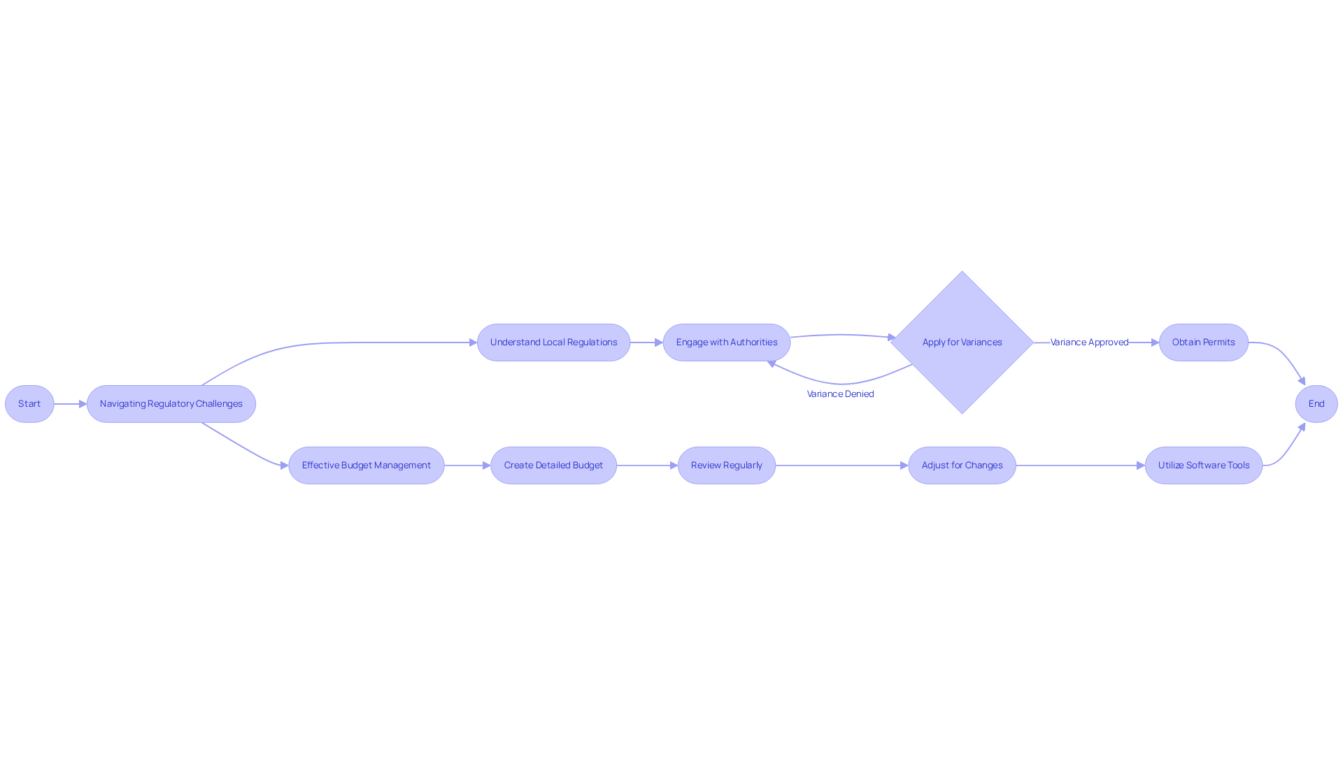Follow the arrows to see the steps for tackling regulatory challenges and managing your budget effectively — each step is crucial for a successful project.