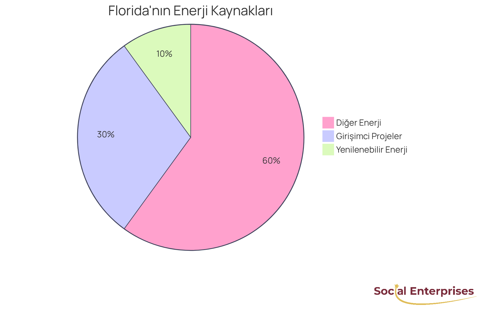 Grafikteki her dilim, Florida'daki yenilenebilir enerji kaynaklarının toplam elektrik üretimindeki katkısını gösterir. Yeşil dilim, yenilenebilir kaynakların payını, mavi dilim ise girişimcilerin projelerinin başarı oranlarını temsil eder.