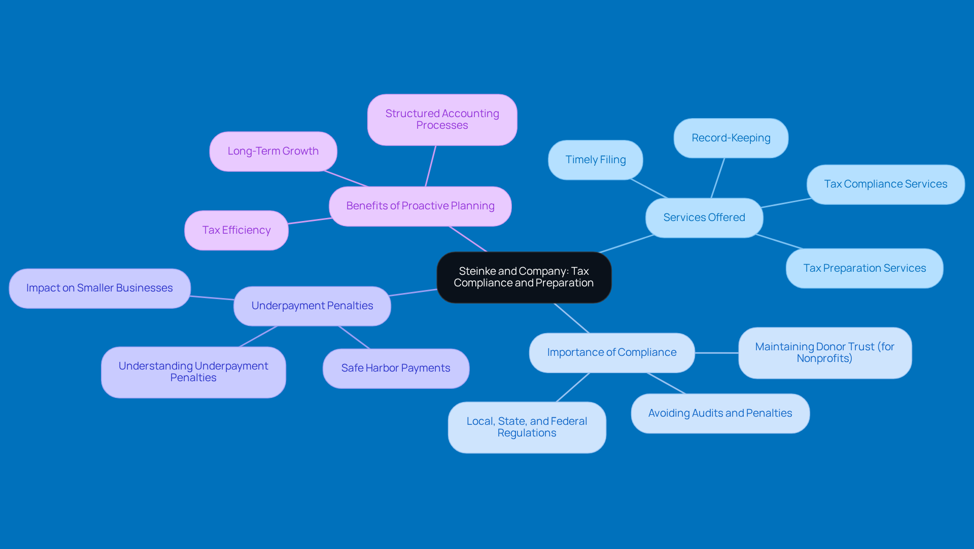 The central node represents Steinke and Company's focus on tax compliance. Each branch highlights a key theme related to their services, showing how they connect to the overall goal of helping smaller organizations thrive.