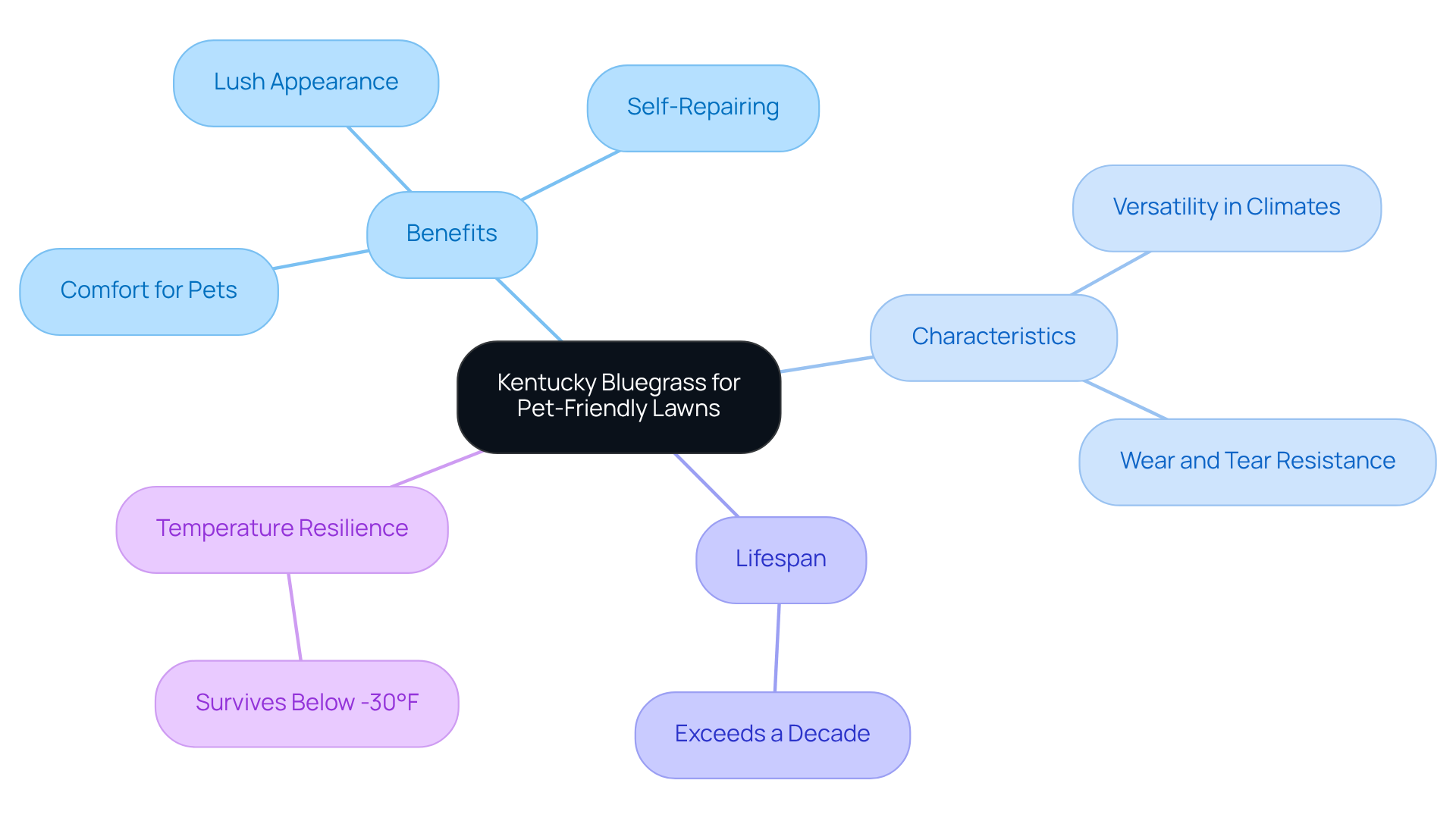 This mindmap shows how Kentucky Bluegrass is the best choice for pet-friendly lawns. Each branch highlights important features and benefits, helping you see why it's a great option for families with pets. This mindmap shows how Kentucky Bluegrass is the best choice for pet-friendly lawns. Each branch highlights important features and benefits, helping you see why it's a great option for families with pets.