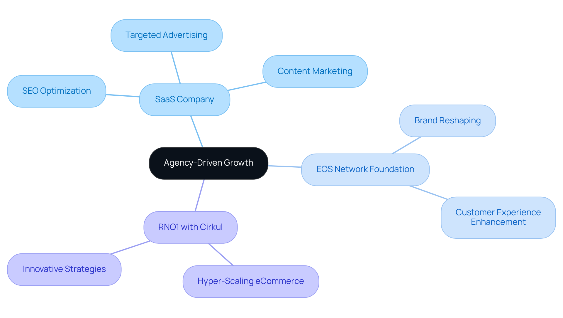 The central node represents the main theme of growth through agency partnerships. Each branch shows a different success story, and the sub-branches detail the strategies that contributed to that success.