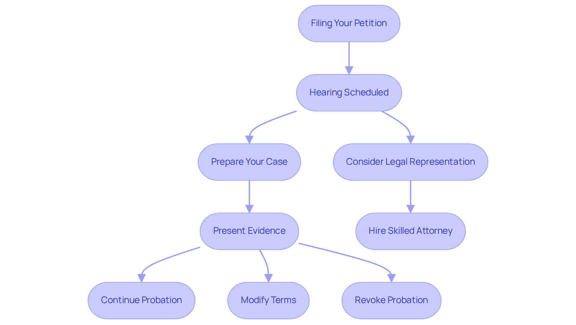 This flowchart guides you through what happens after you file your petition. Start at the top with filing, then follow the arrows to see the steps you need to take, including preparing your case and considering legal help. The outcomes at the bottom show what could happen next based on your preparation and representation.