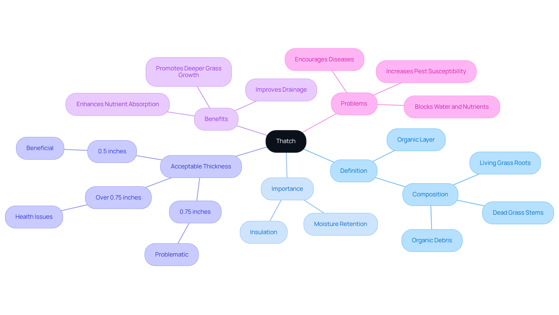 The central node represents thatch, and the branches show its definition, importance, and the effects of its thickness. Follow the branches to understand how thatch impacts your lawn's health.