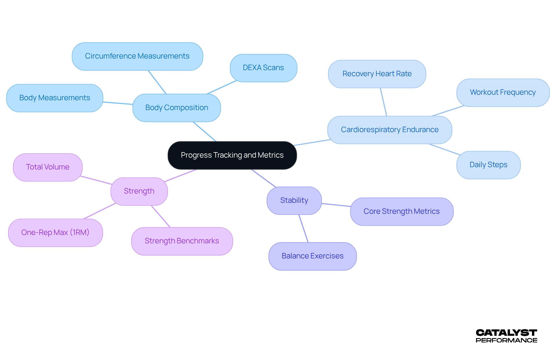 The center represents the main idea of tracking progress. Each branch shows a foundational pillar of health, with further details on metrics that help you stay accountable and motivated on your fitness journey.