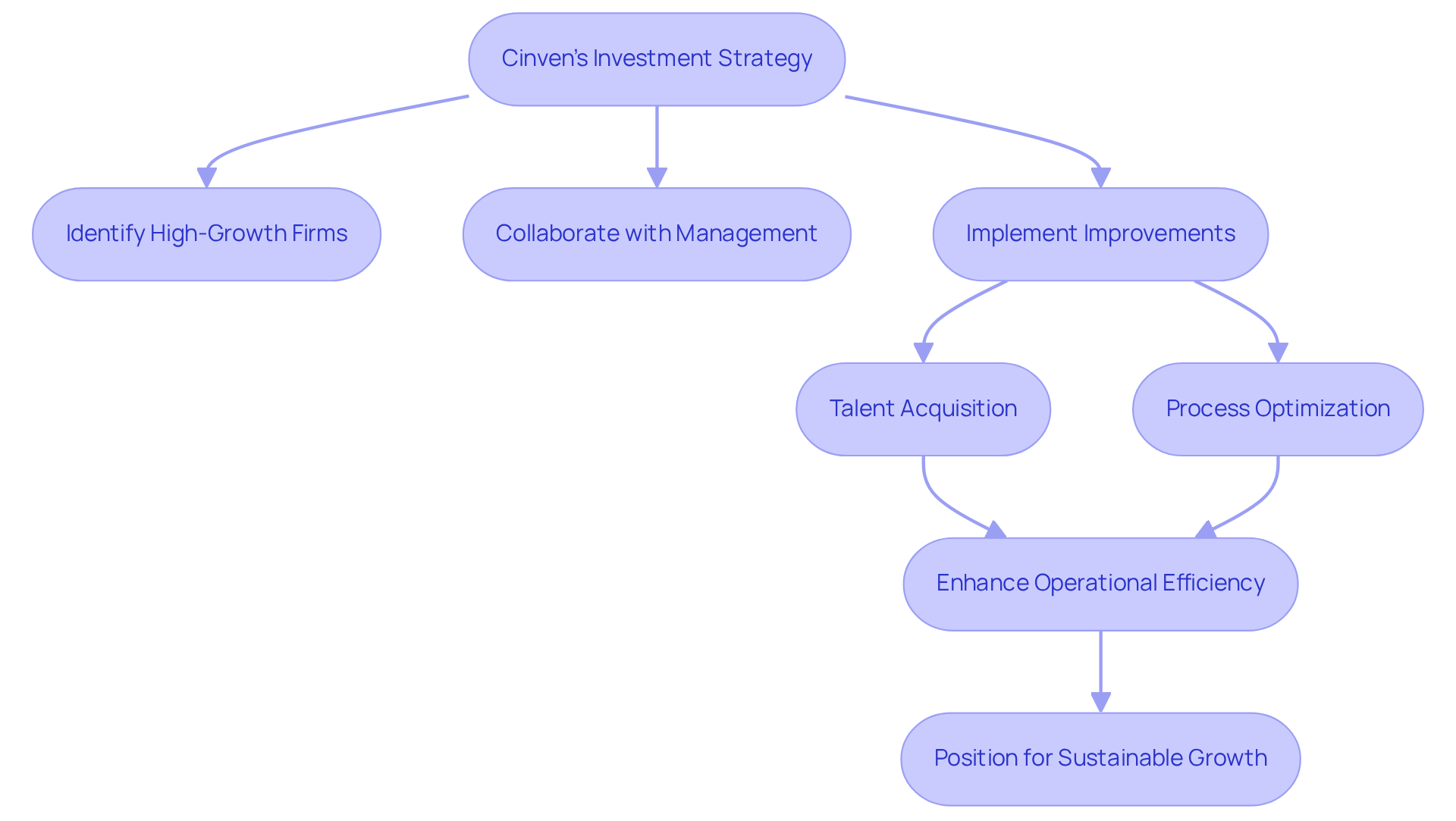 Follow the arrows to see how Cinven identifies opportunities and implements strategies to enhance the performance of their portfolio companies. Each step builds on the previous one to create a pathway to success.