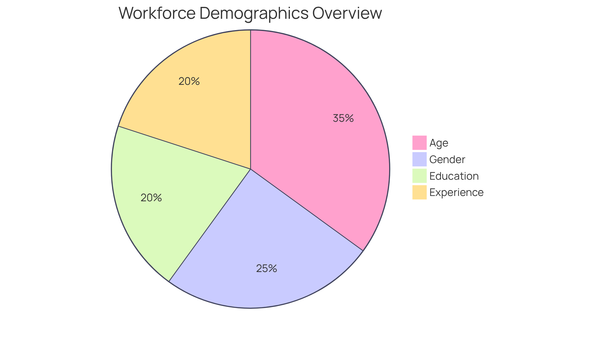 Each slice of the pie represents a different demographic aspect of the workforce. The size of each slice shows how much of the workforce that category represents — a larger slice means a larger proportion of the workforce.