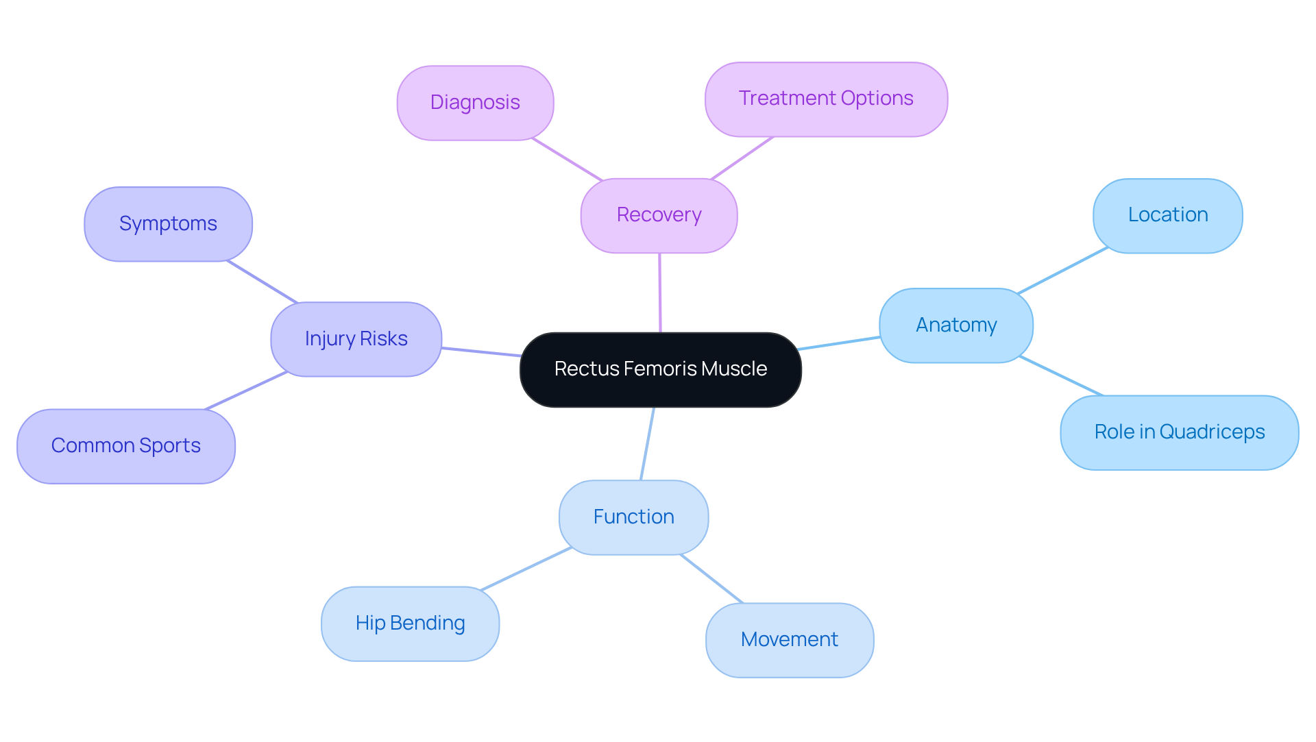 This mindmap illustrates the key aspects of the rectus femoris muscle. Start at the center to learn about its anatomy, then explore how it functions, the risks of injury, and ways to recover. Each branch represents a different area of knowledge, helping you see how everything connects.