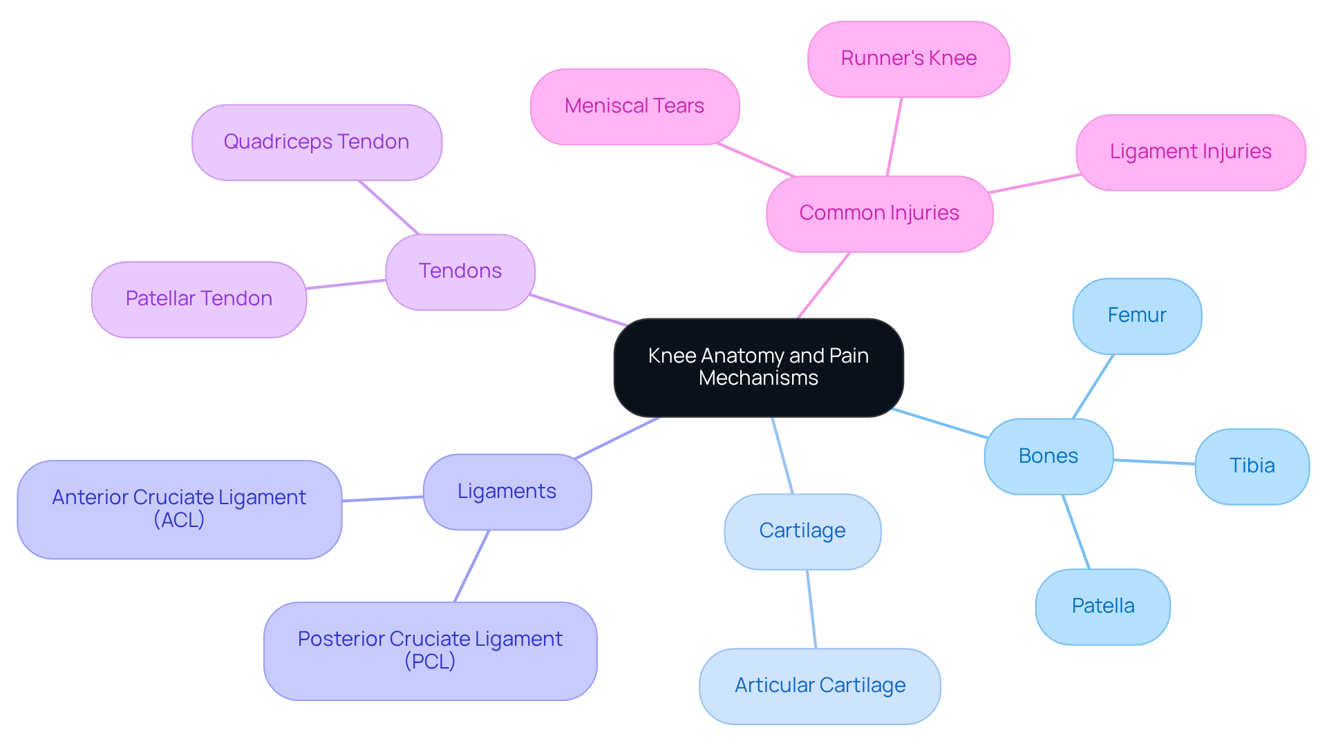 This mindmap illustrates the key components of the knee joint and their functions. Each branch represents a different part of the knee, showing how they work together to support movement and stability. Understanding these connections can help you recognize the sources of knee pain and the importance of each structure. This mindmap illustrates the key components of the knee joint and their functions. Each branch represents a different part of the knee, showing how they work together to support movement and stability. Understanding these connections can help you recognize the sources of knee pain and the importance of each structure.