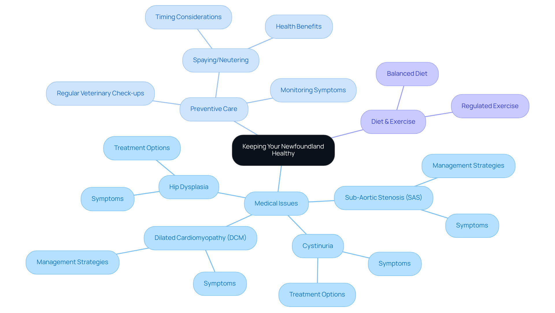 This mindmap shows how to keep your Newfoundland healthy. Each branch represents a key area of health care, with specific issues and strategies branching out from the main topic.
