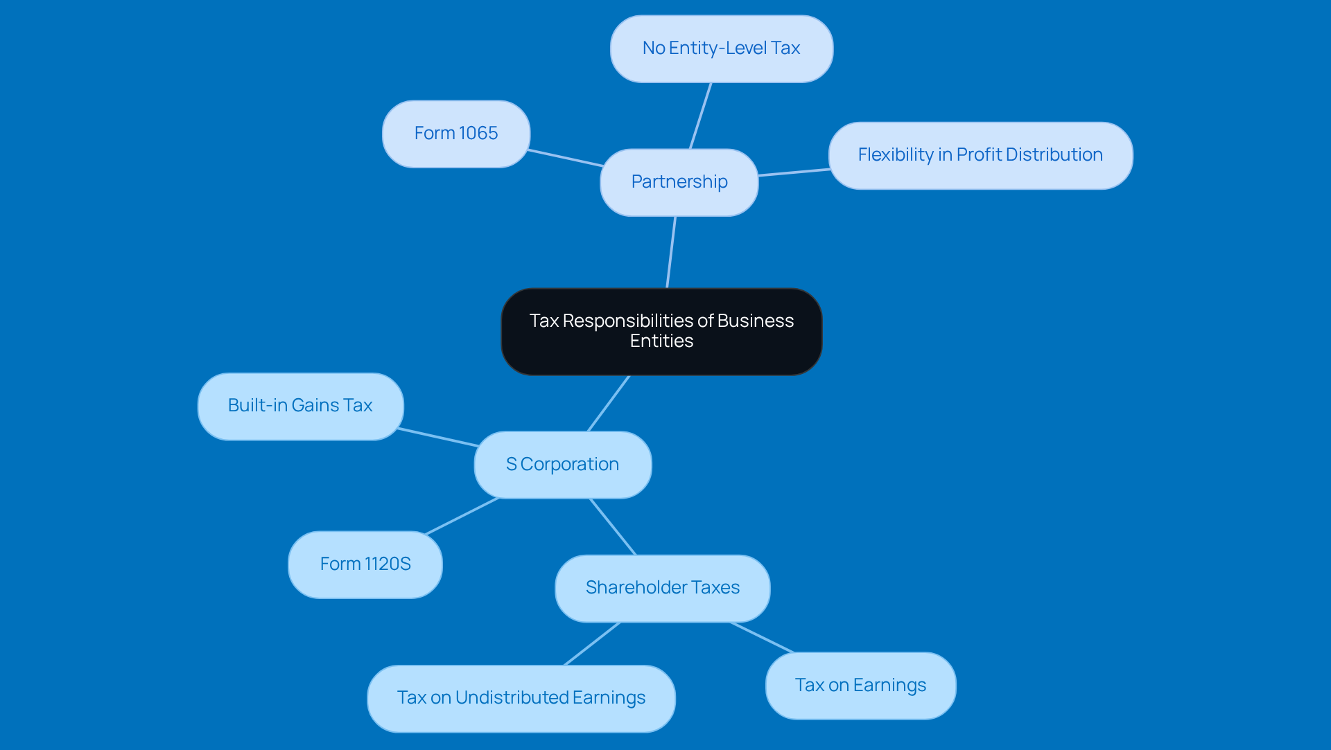 The central node represents the overall topic, while the branches show the two types of business entities. Each sub-node provides specific details about their tax responsibilities, making it easy to compare and understand.